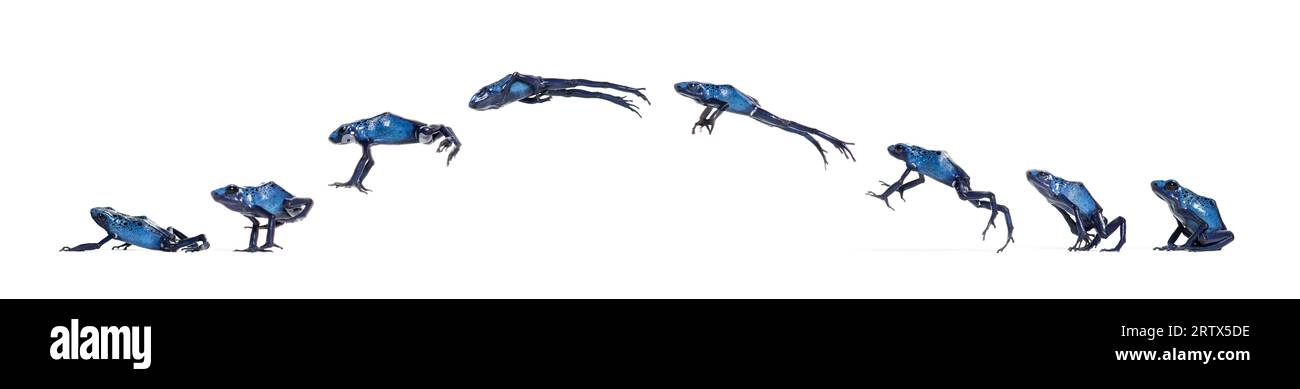Secuencia de salto animacion immagini e fotografie stock ad alta ...
