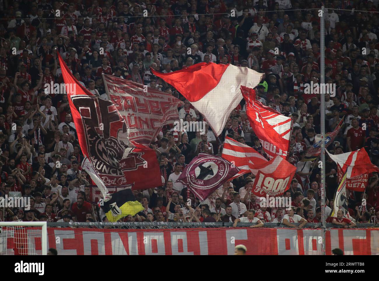 Nella curva sud immagini e fotografie stock ad alta risoluzione - Alamy