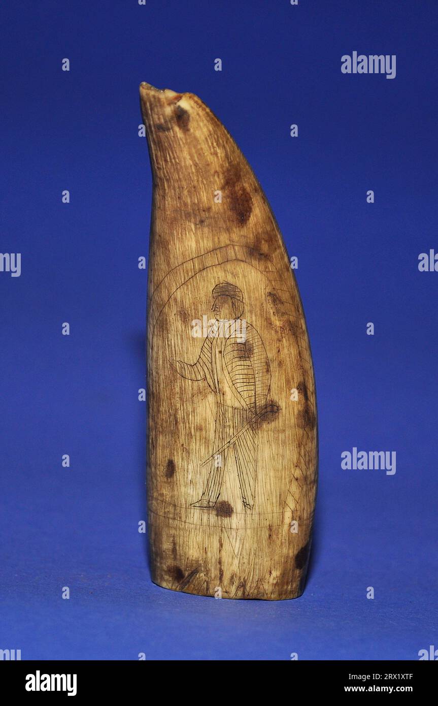 Scrimshaw whale immagini e fotografie stock ad alta risoluzione - Alamy