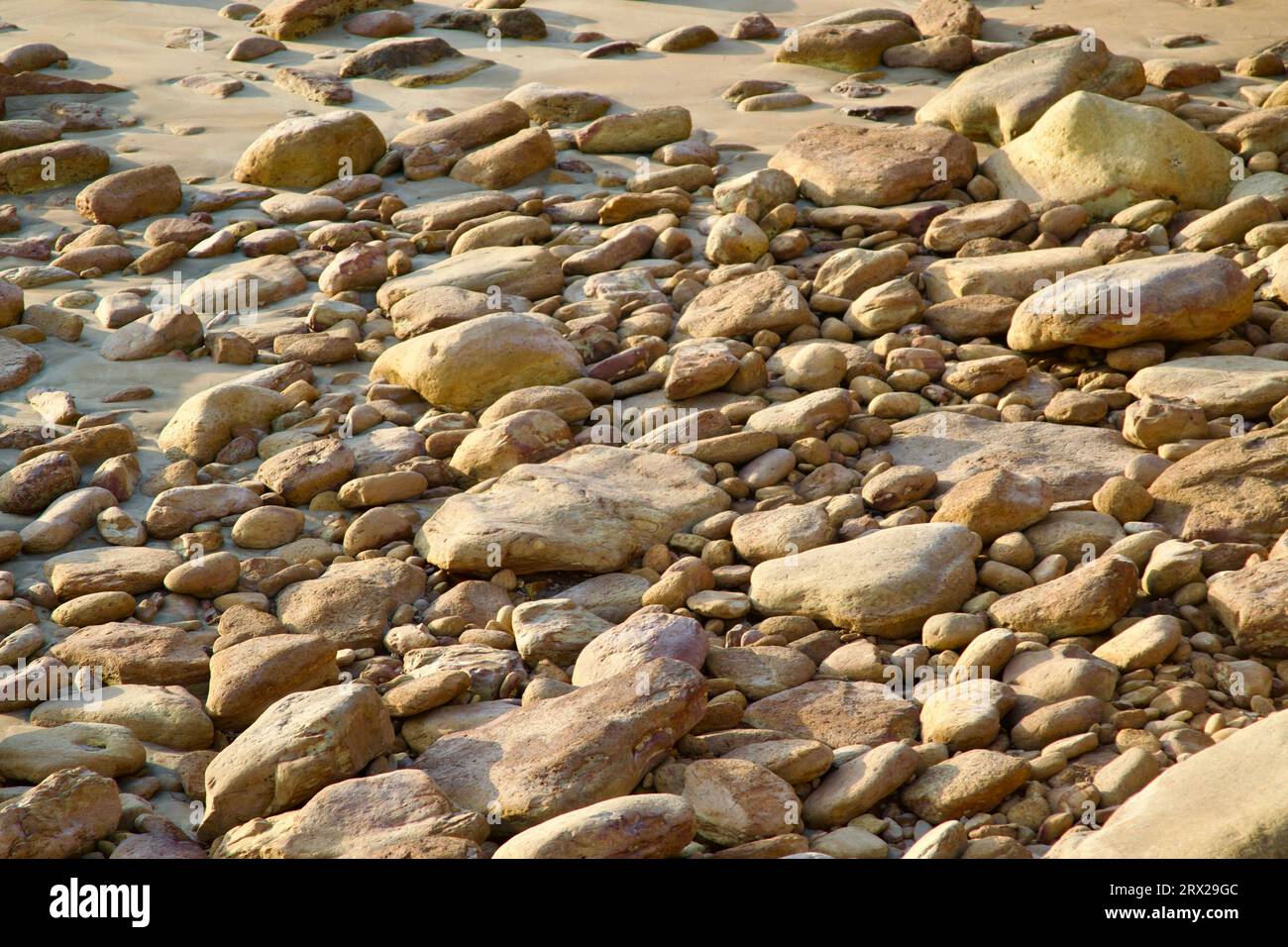 Darwin nt immagini e fotografie stock ad alta risoluzione - Alamy