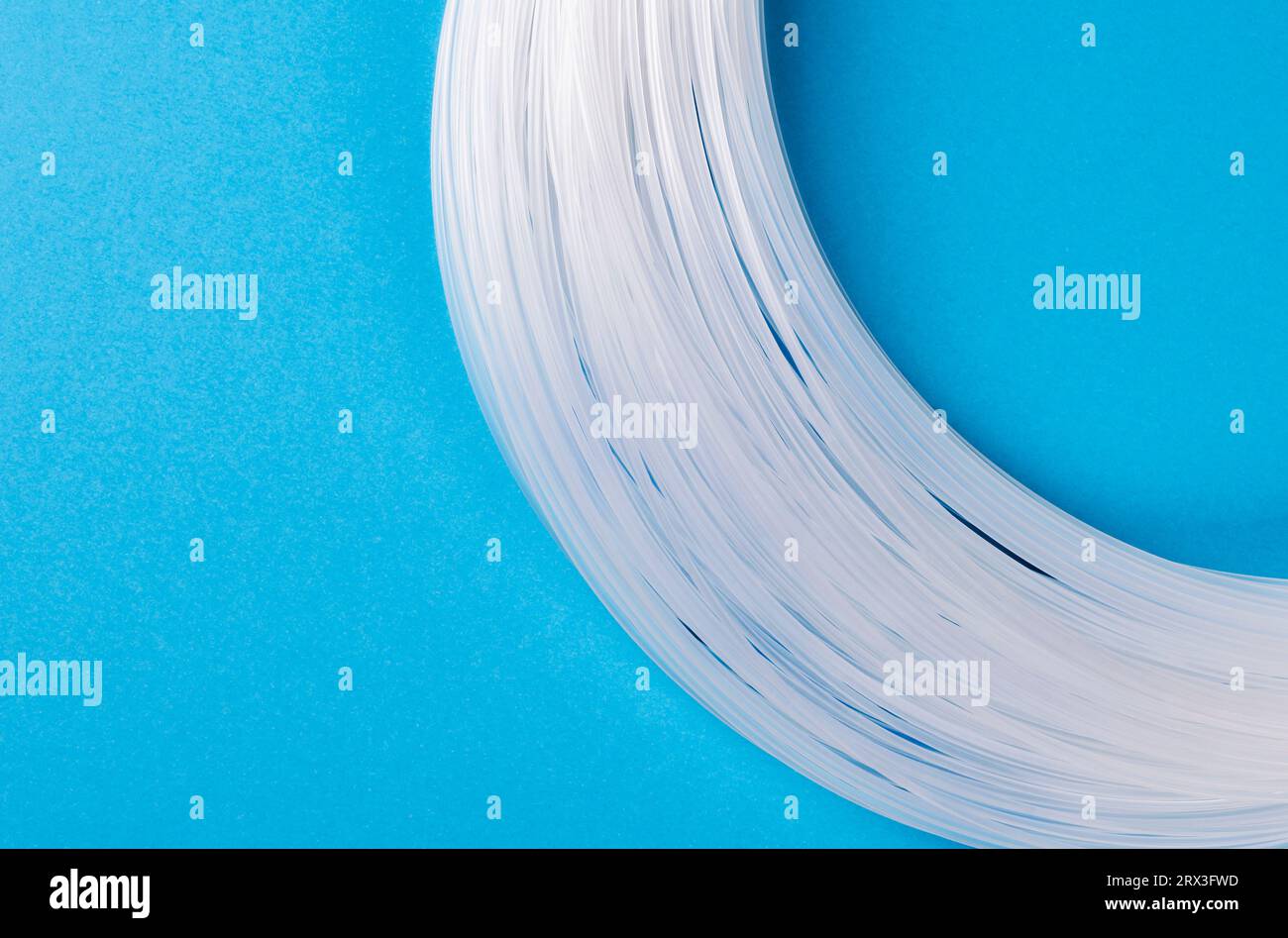 Linea di pesca immagini e fotografie stock ad alta risoluzione - Alamy