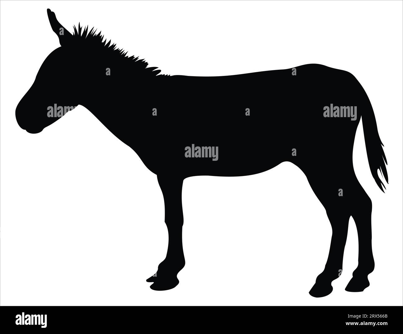 Faccia da mulo Immagini Vettoriali Stock - Alamy