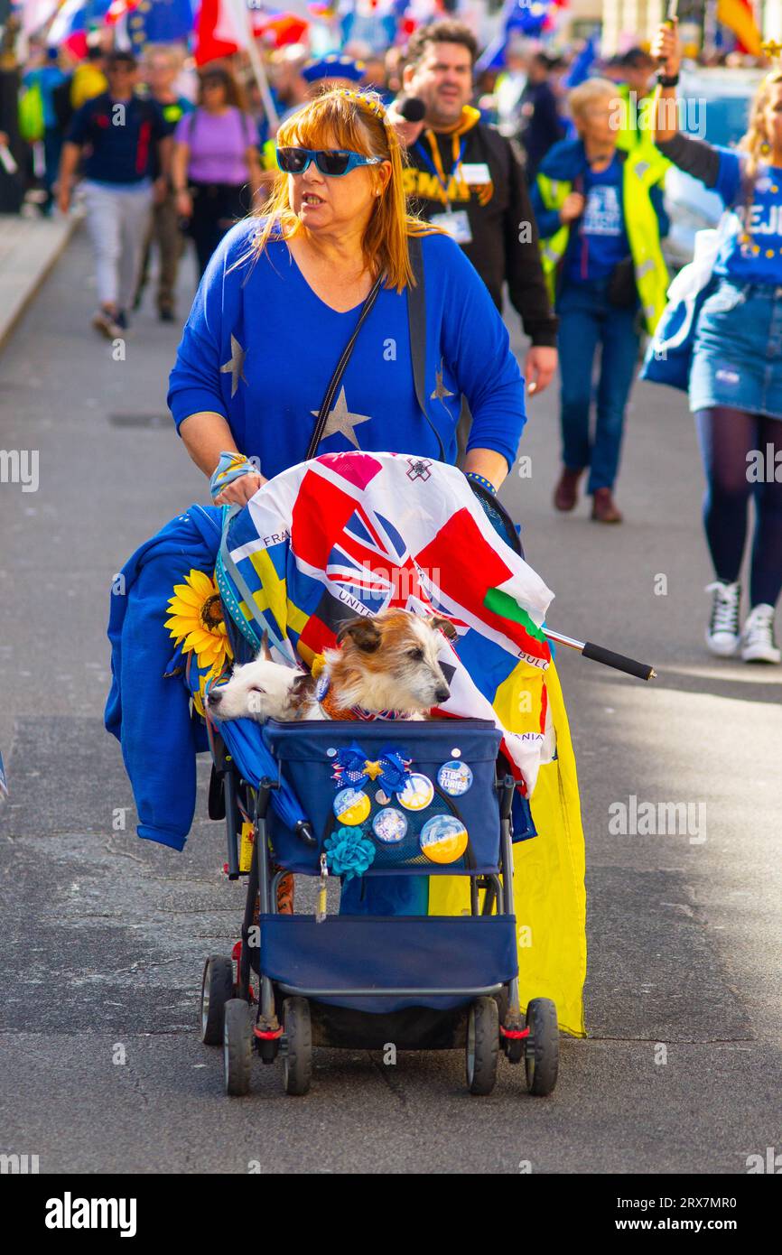 Londra, Regno Unito. 23 settembre 2023. Jack Russell terriers. National ...