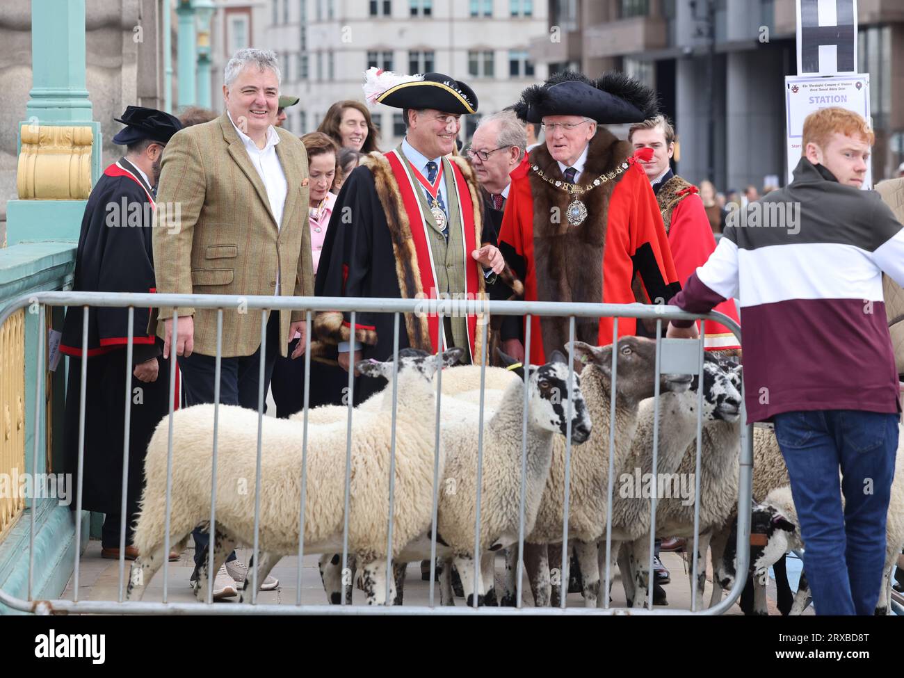 Tradizione delle pecore londra immagini e fotografie stock ad alta ...