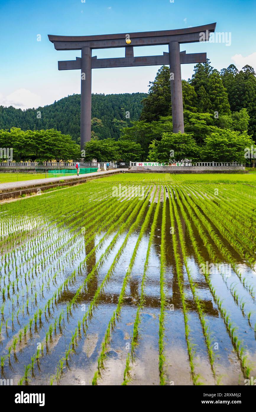 The kumano kodo and kumano sanzan immagini e fotografie stock ad alta ...