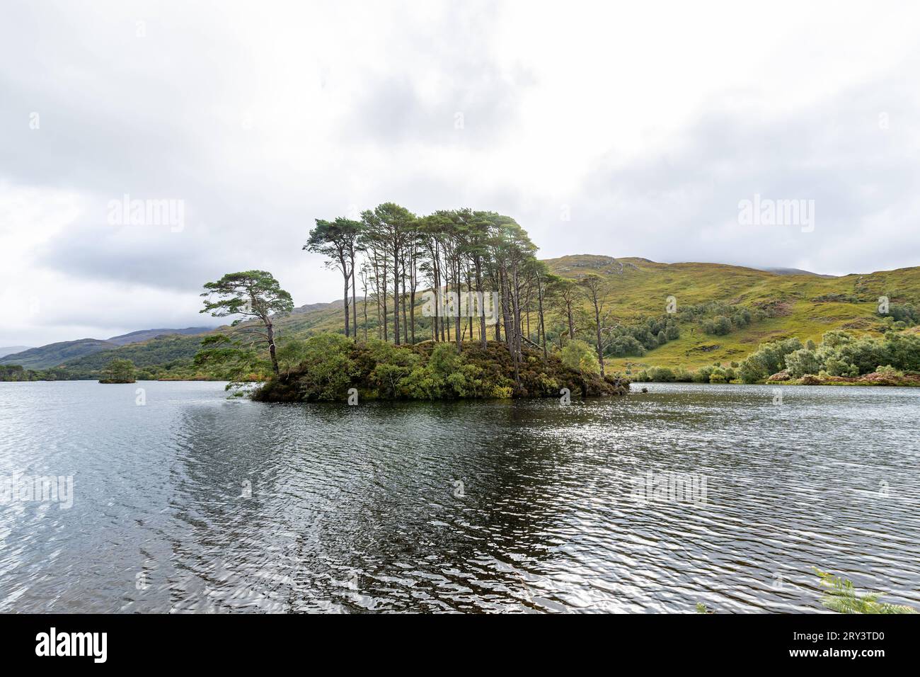 Die Insel Eilean na Moine im Süßwasser vedere Loch Eilt in den schottischen Highlands dient in ...