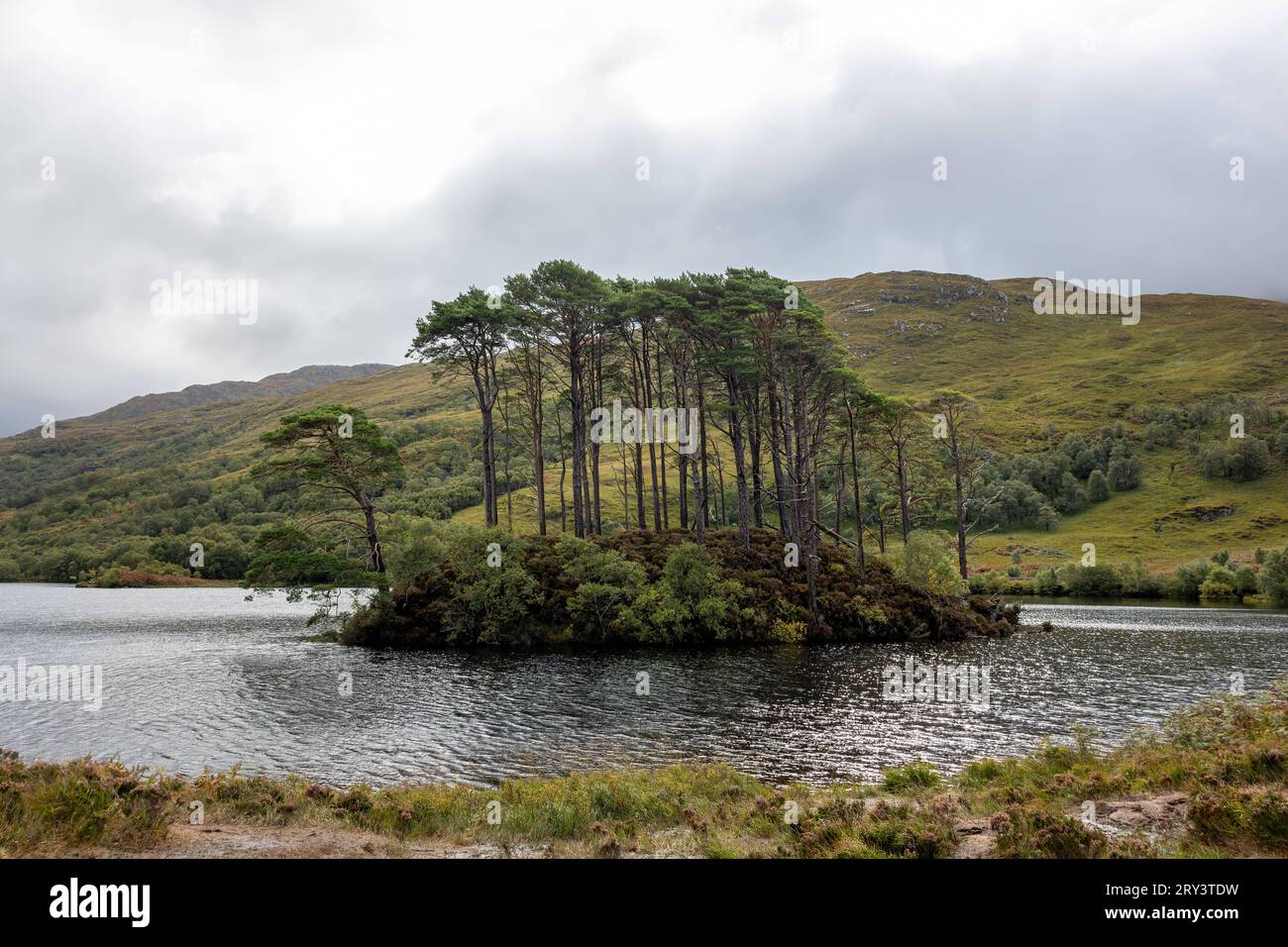 Die Insel Eilean na Moine im Süßwasser vedere Loch Eilt in den schottischen Highlands dient in ...