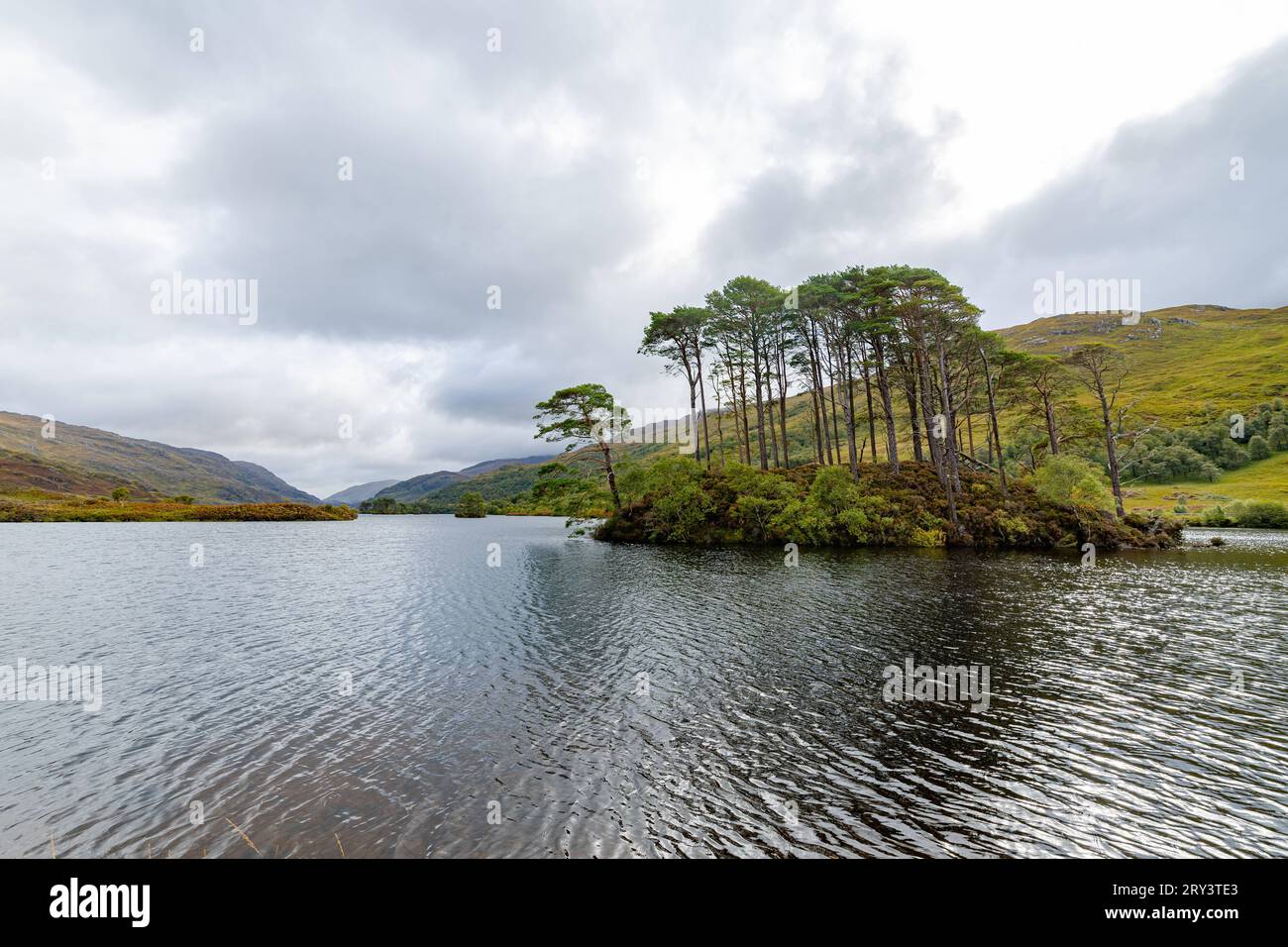 Die Insel Eilean na Moine im Süßwasser vedere Loch Eilt in den ...
