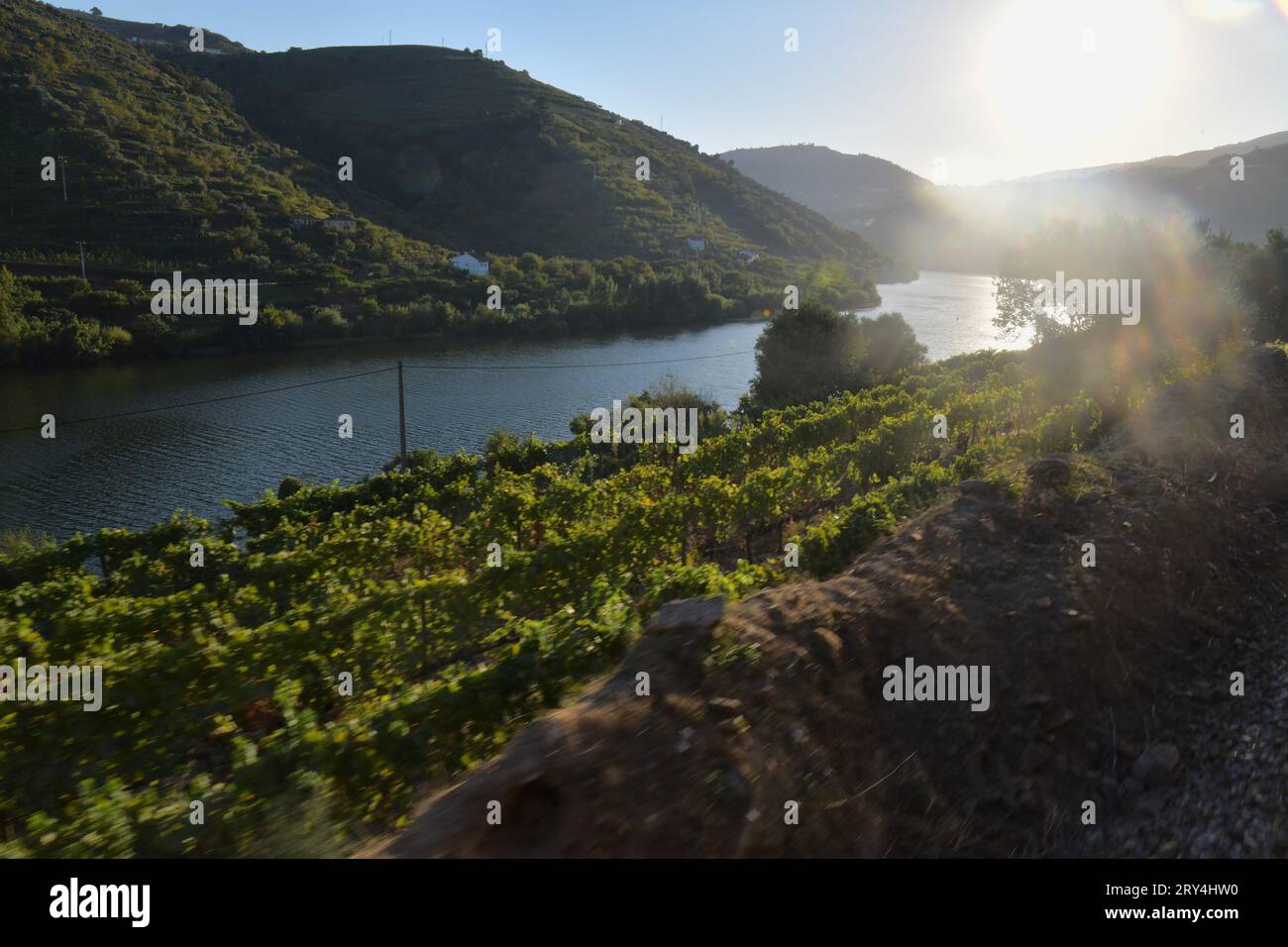 Vigneti e affascinanti fattorie autoctone si aggrappano ai ripidi lati ...