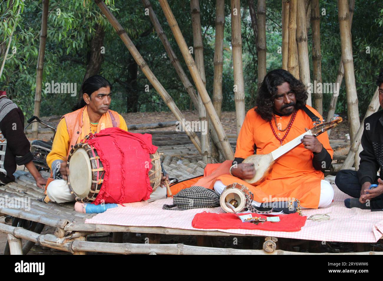 Baul di bengala immagini e fotografie stock ad alta risoluzione - Alamy