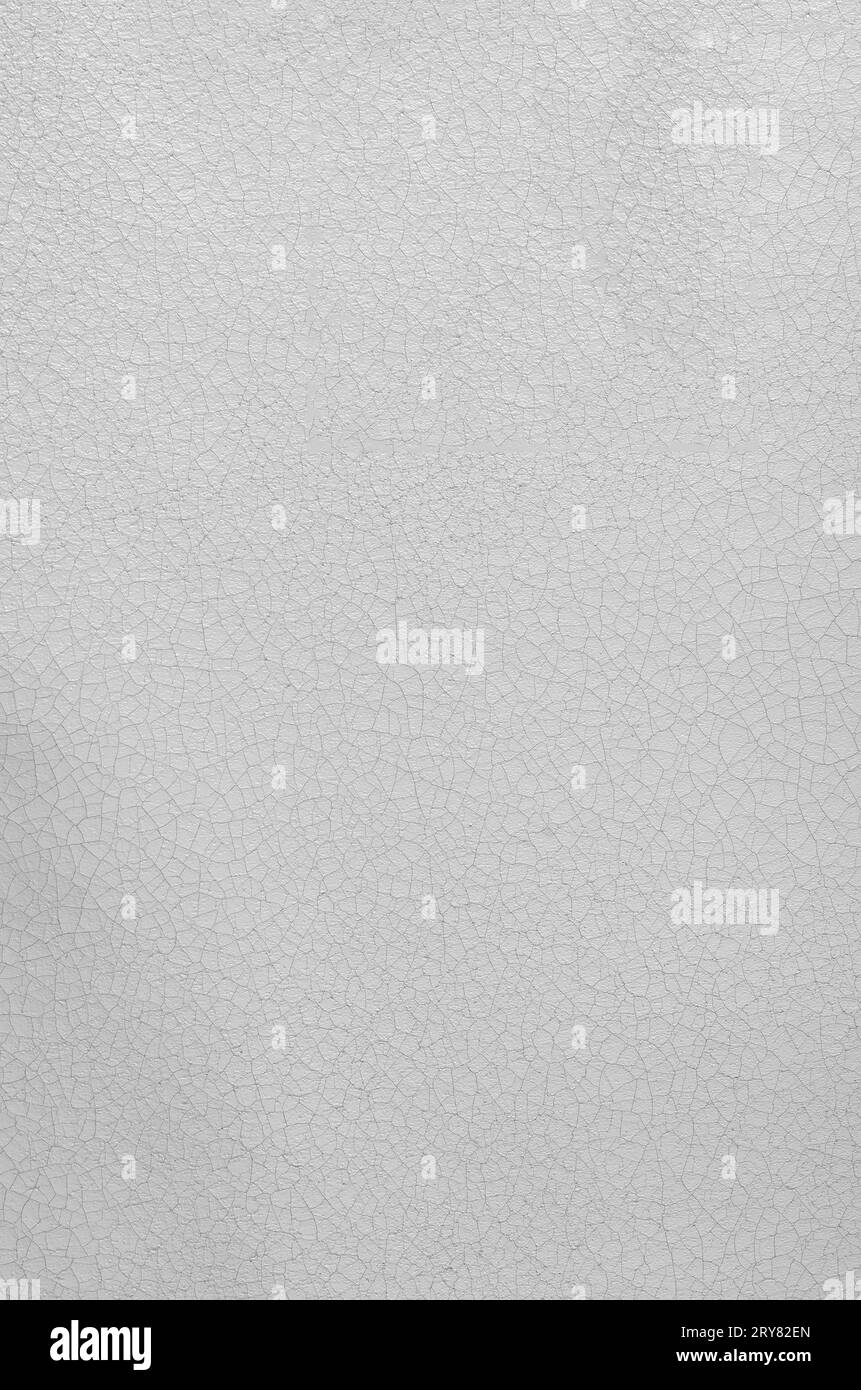 Vera pelle texture Foto e Immagini Stock in Bianco e Nero - Alamy