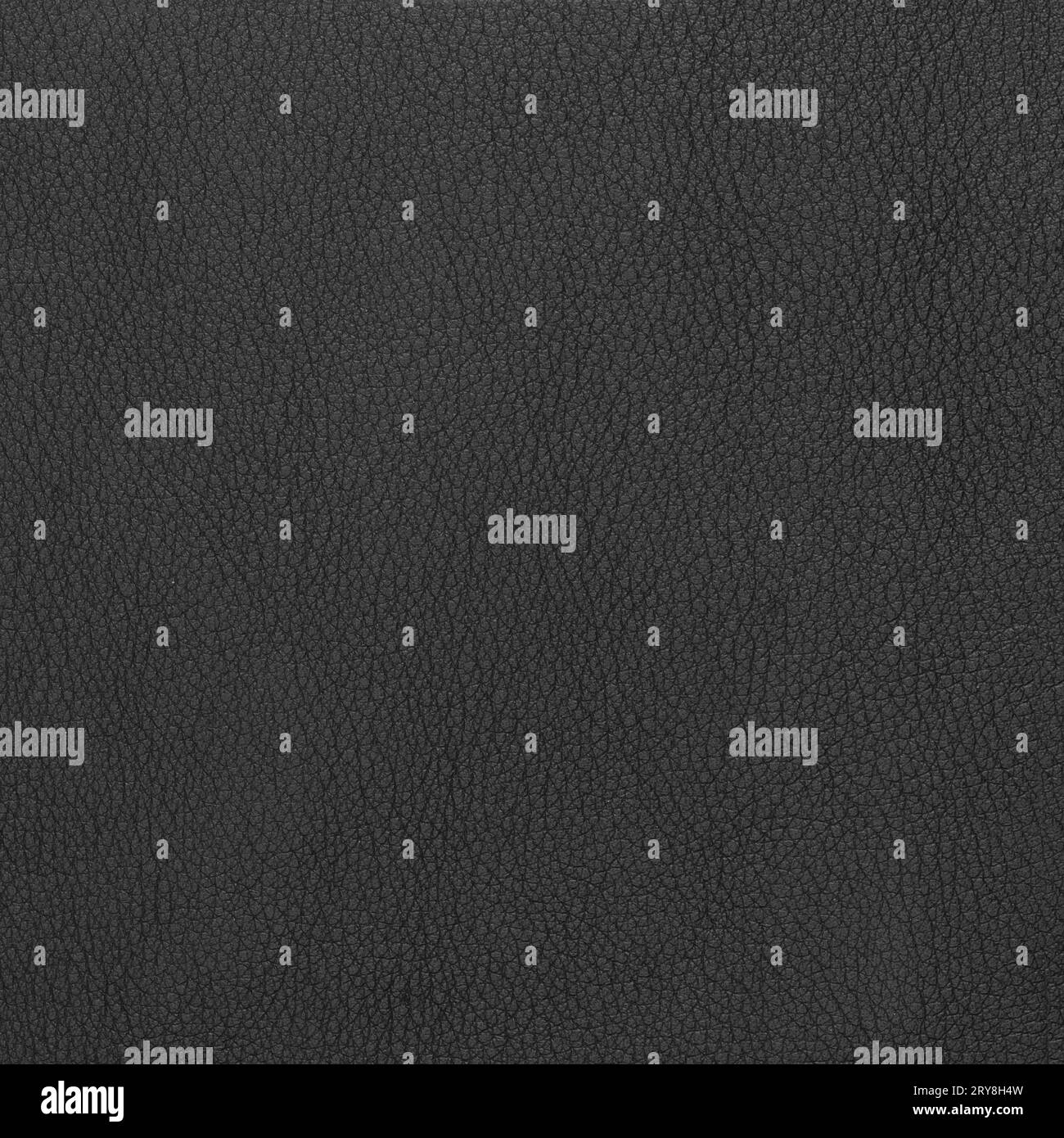 Vera pelle texture Foto e Immagini Stock in Bianco e Nero - Alamy