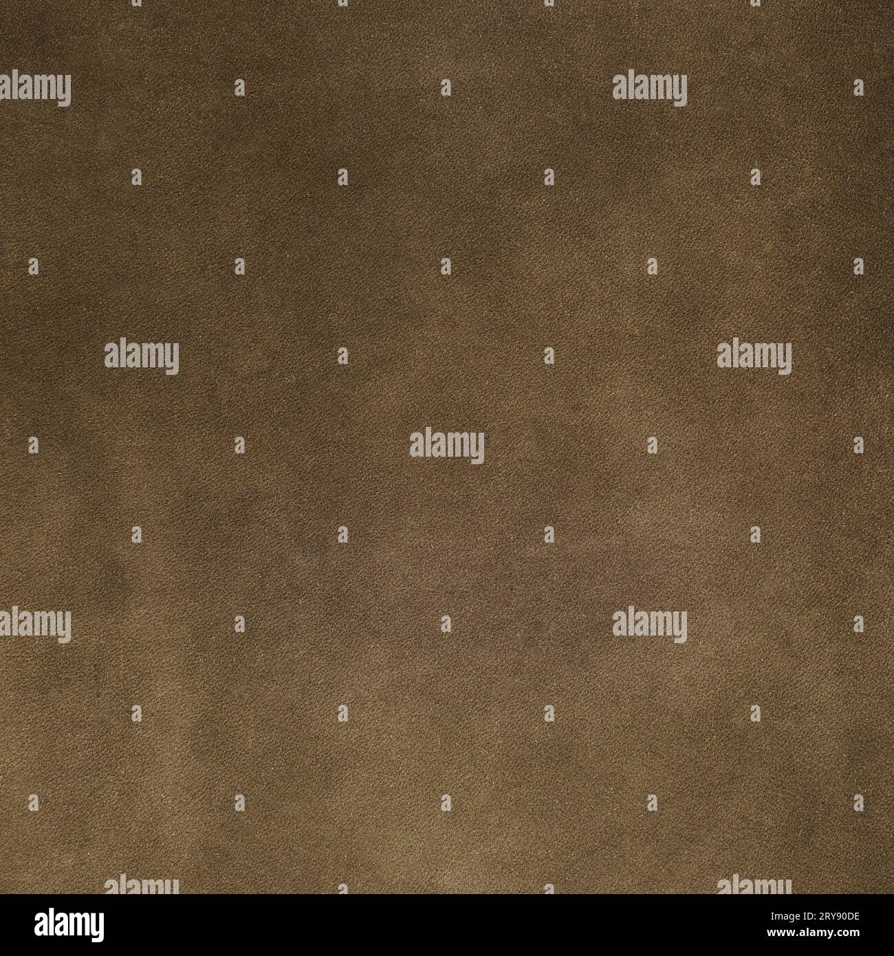 Pelle ruvida immagini e fotografie stock ad alta risoluzione - Alamy