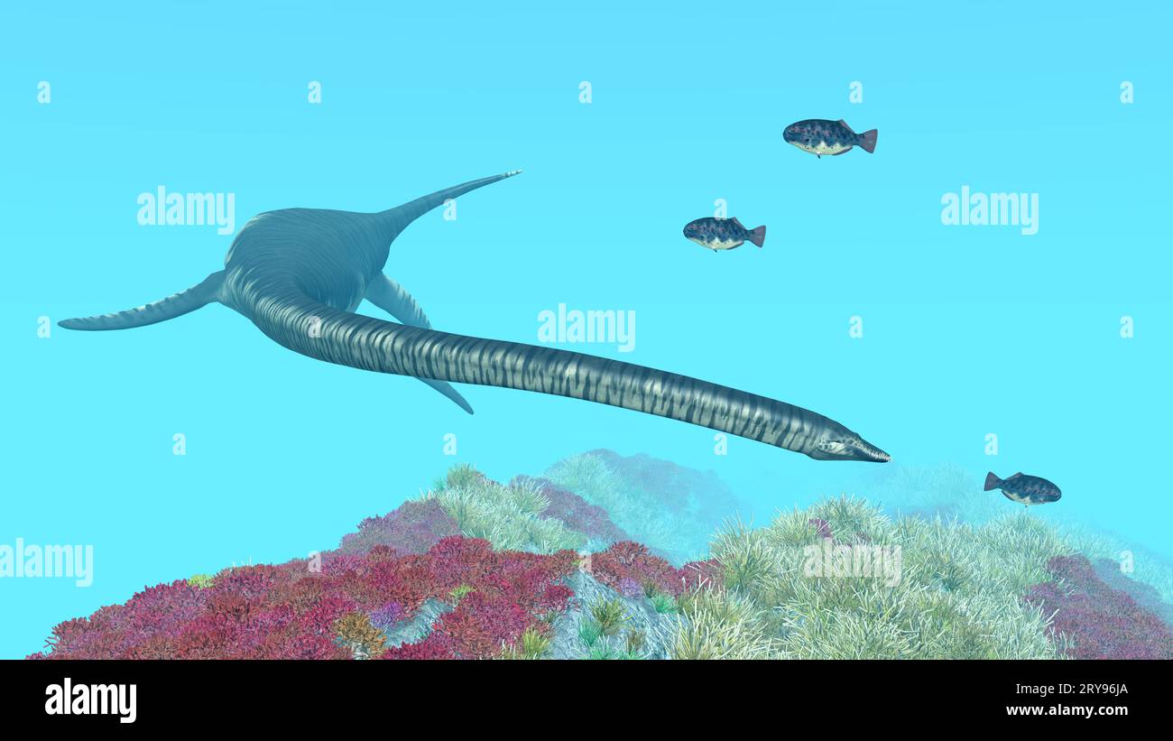 Plesiosauri plesiosauri immagini e fotografie stock ad alta risoluzione ...