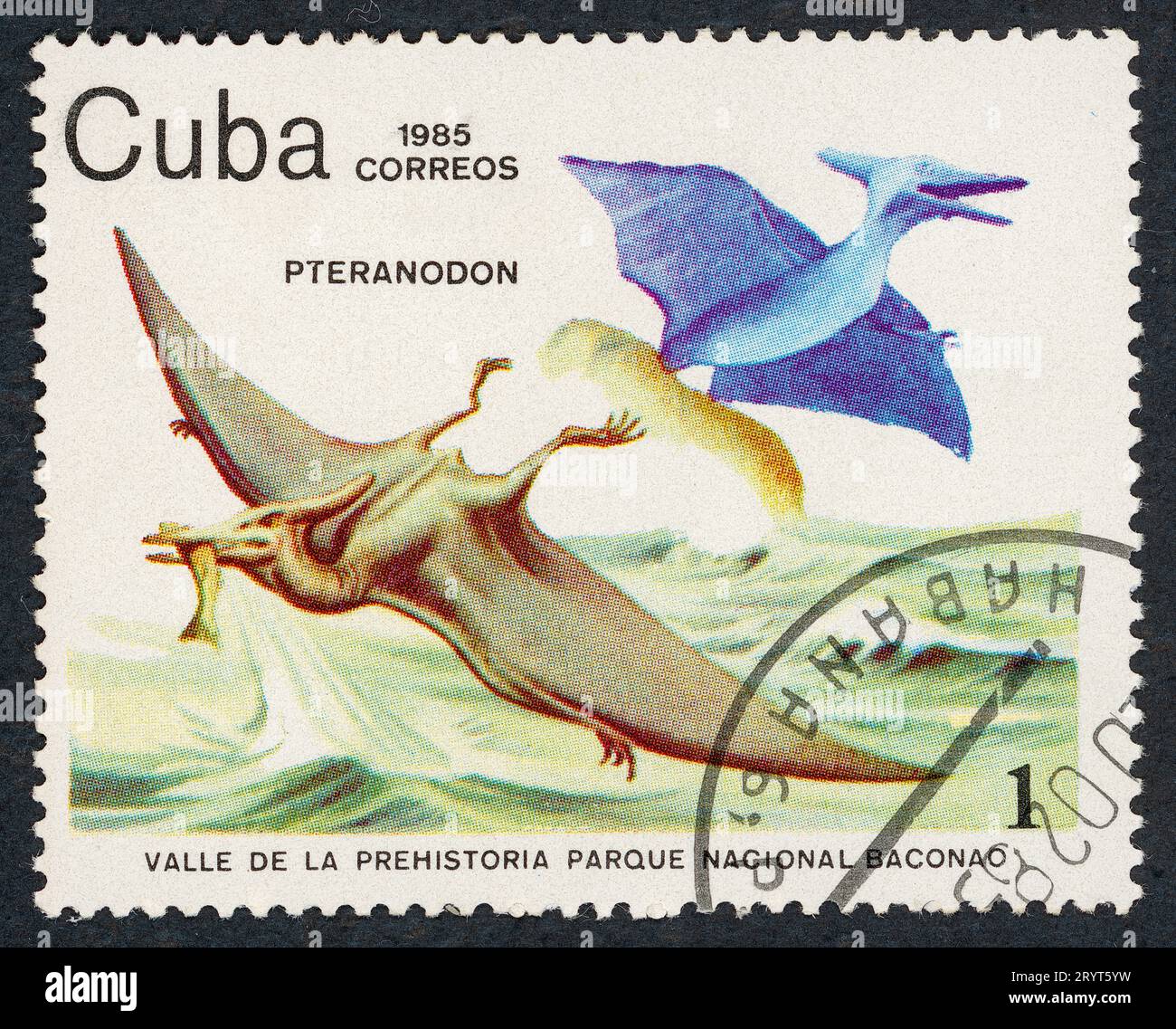 Pteranodon fossil immagini e fotografie stock ad alta risoluzione - Alamy