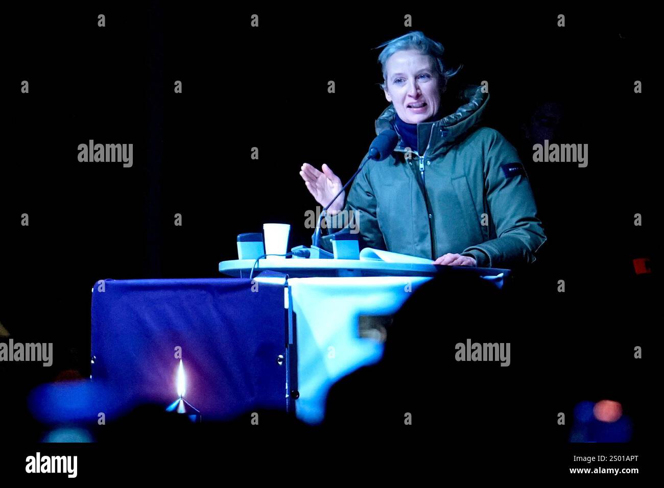 Co leader of German far right party AfD Alice Weidel speaks during an ...
