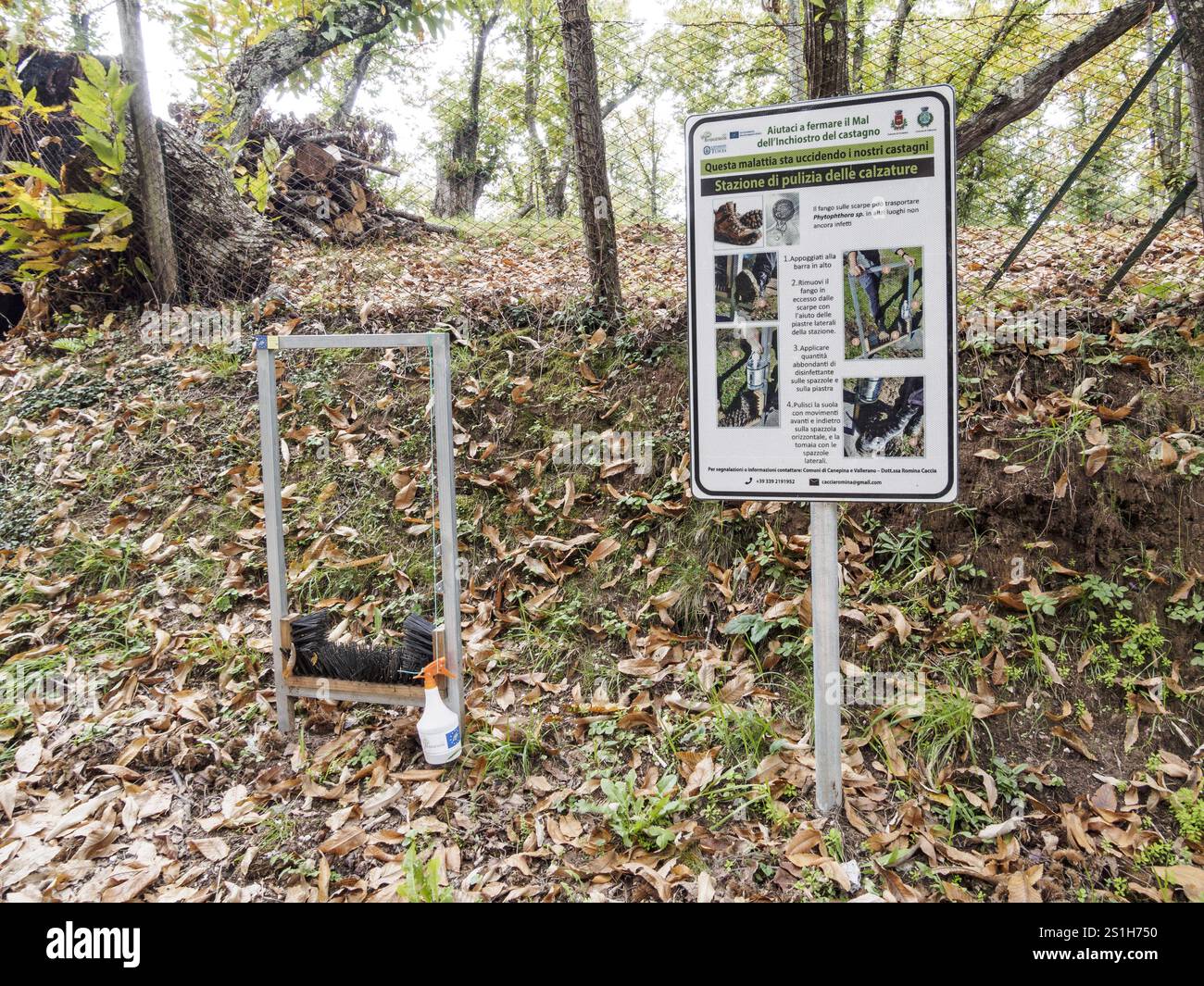Monti cimini immagini e fotografie stock ad alta risoluzione - Alamy