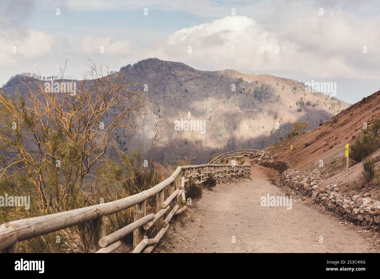 Vesuvio vulcan immagini e fotografie stock ad alta risoluzione - Alamy