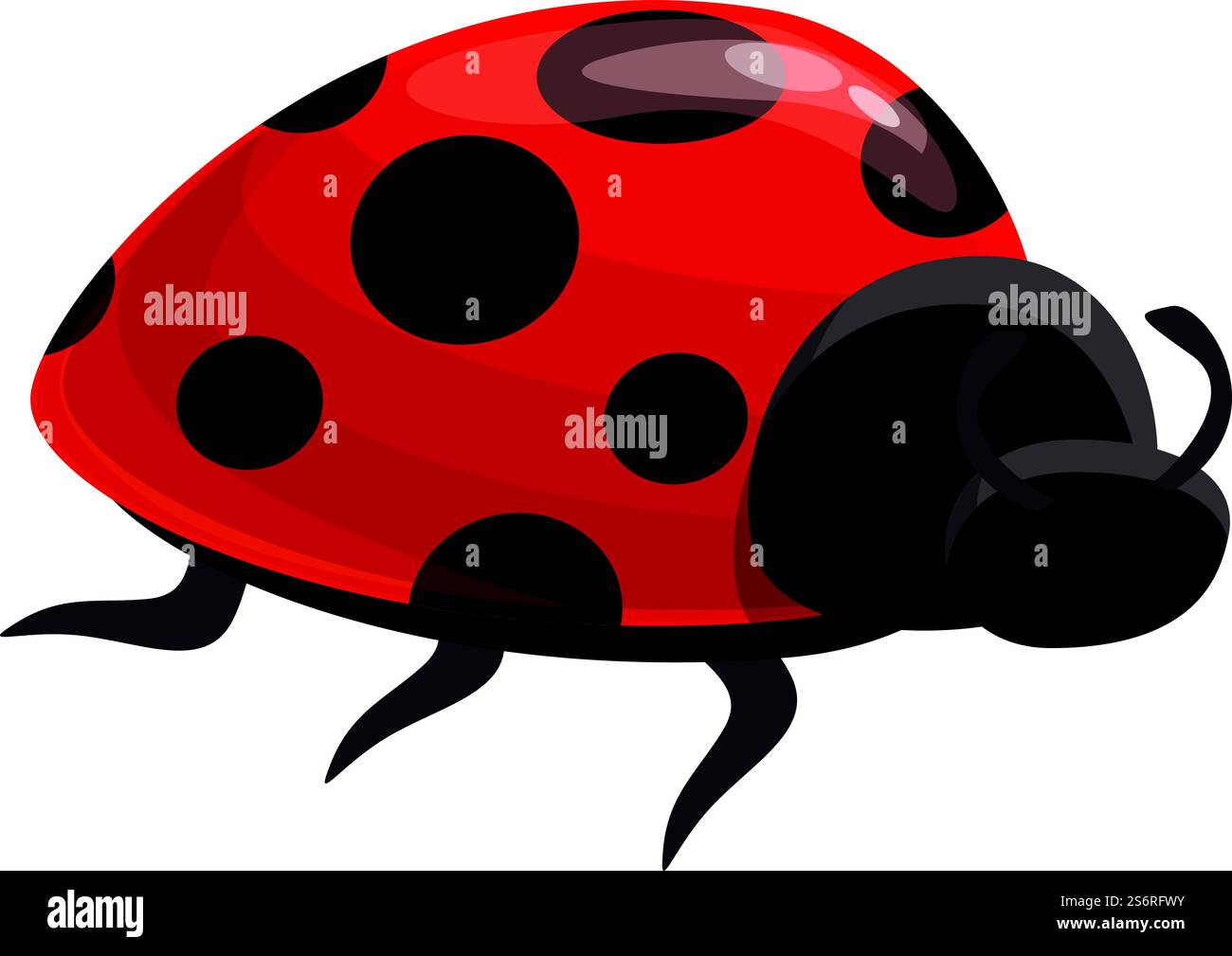 Larva di insetto larva di coccinella Immagini Vettoriali Stock - Alamy