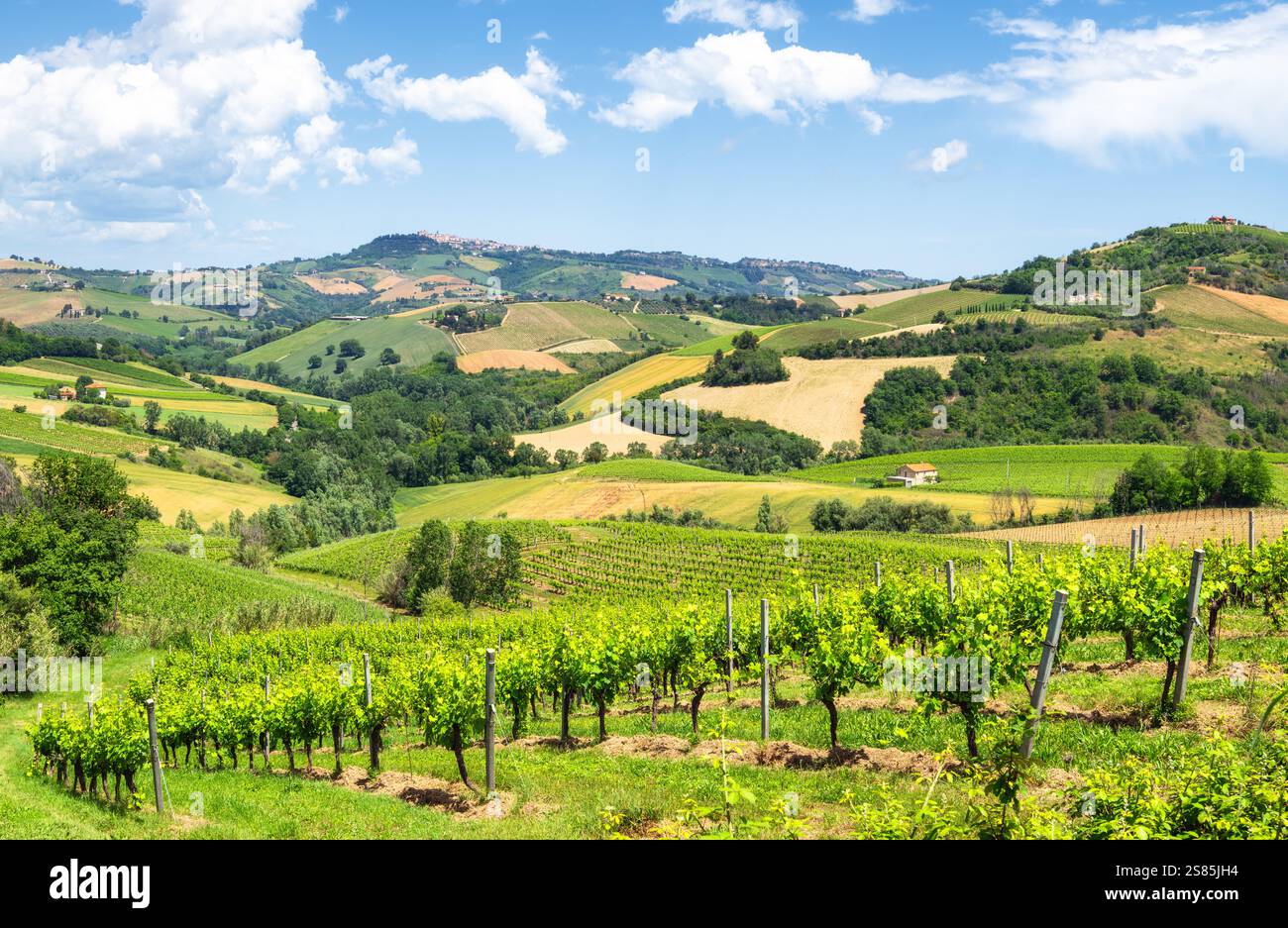 Regione marche immagini e fotografie stock ad alta risoluzione - Alamy