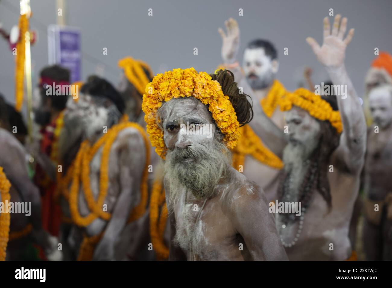 Naga Sadhus, sfilando verso il Sangam sullo Shahi Snan (bagno reale ...