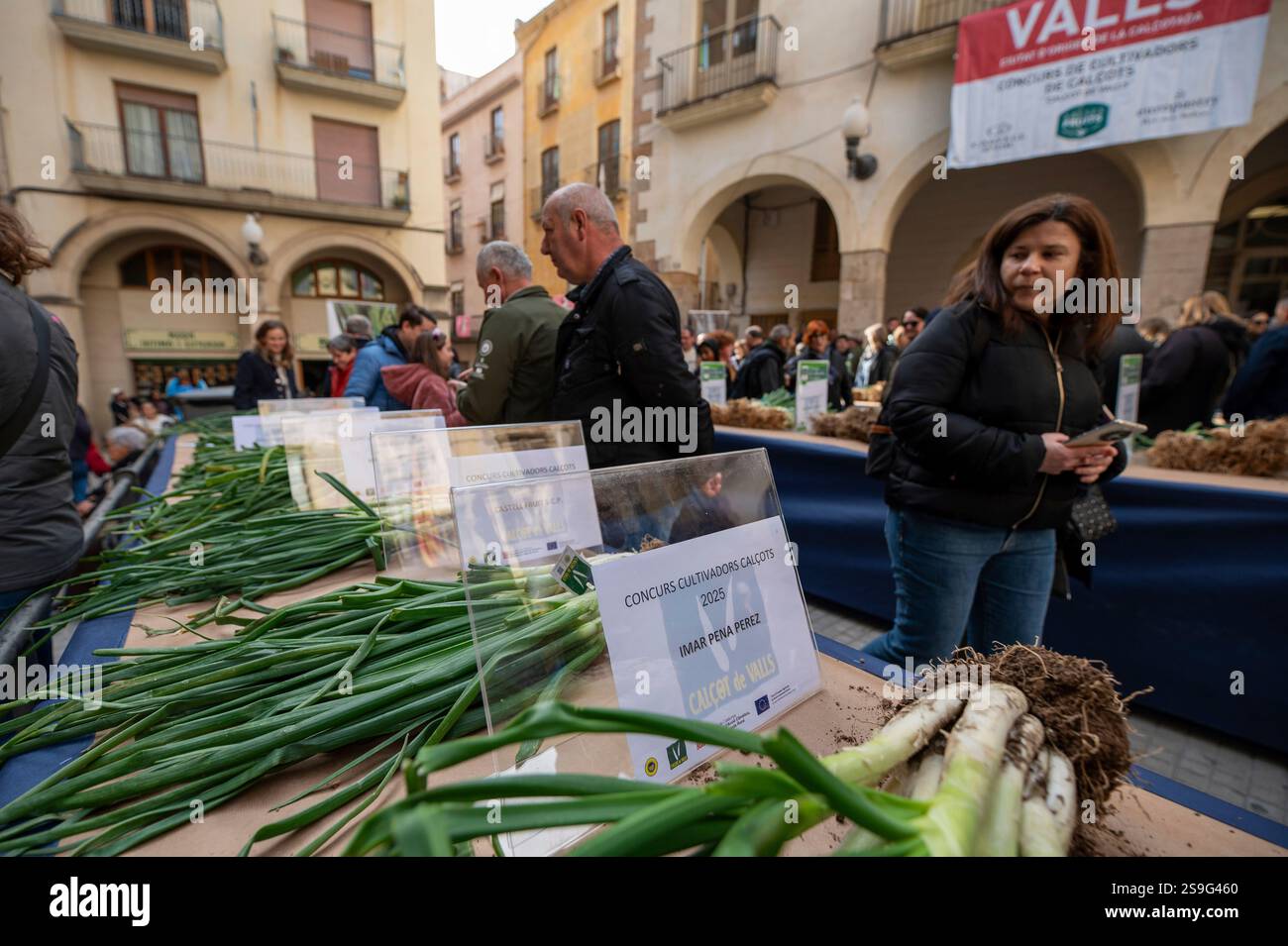 Calçot competition during the Festa de la Calçotada, on January 26 ...