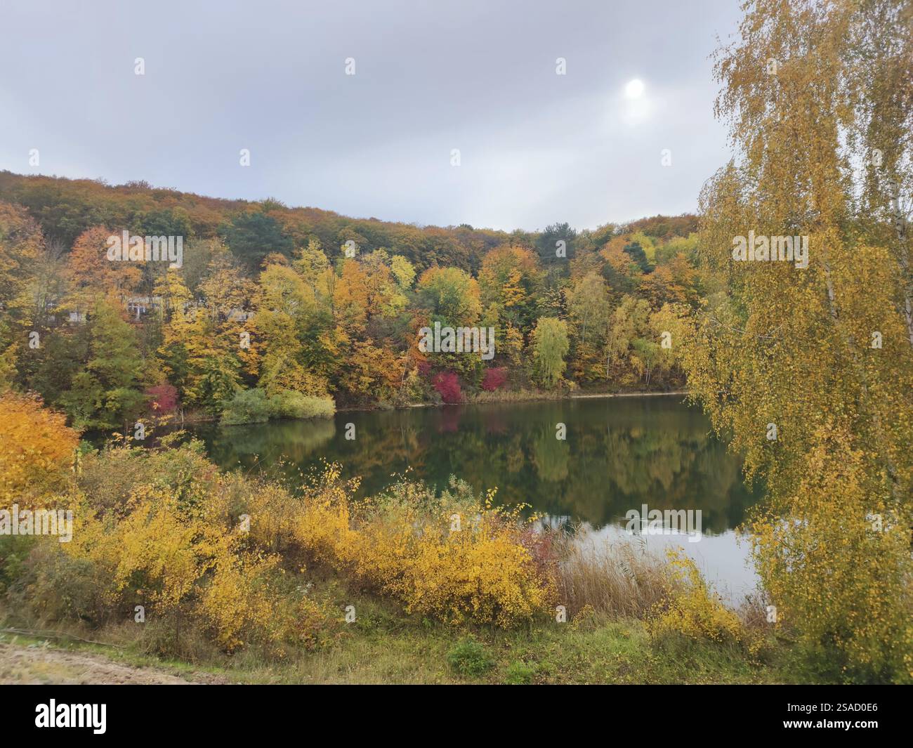 Forni del lago immagini e fotografie stock ad alta risoluzione - Alamy