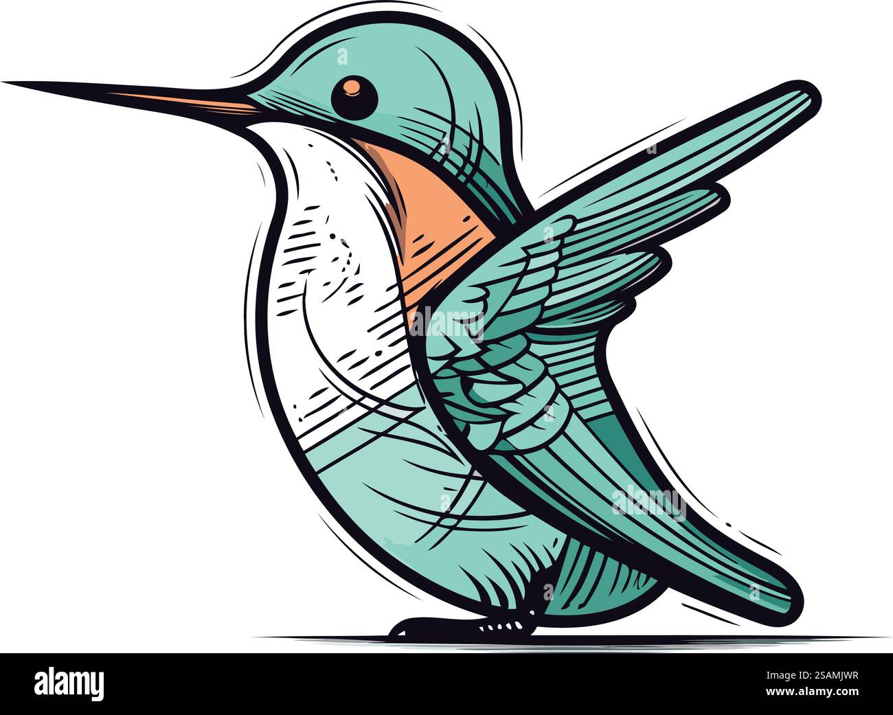 Disegno colibrì Immagini Vettoriali Stock - Alamy