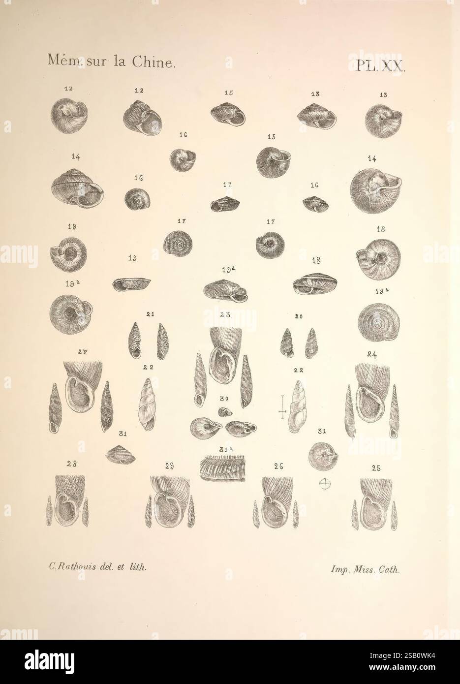 Note sur les mollusques terrestres de la Vallée du Fleuve Bleu, Chang ...