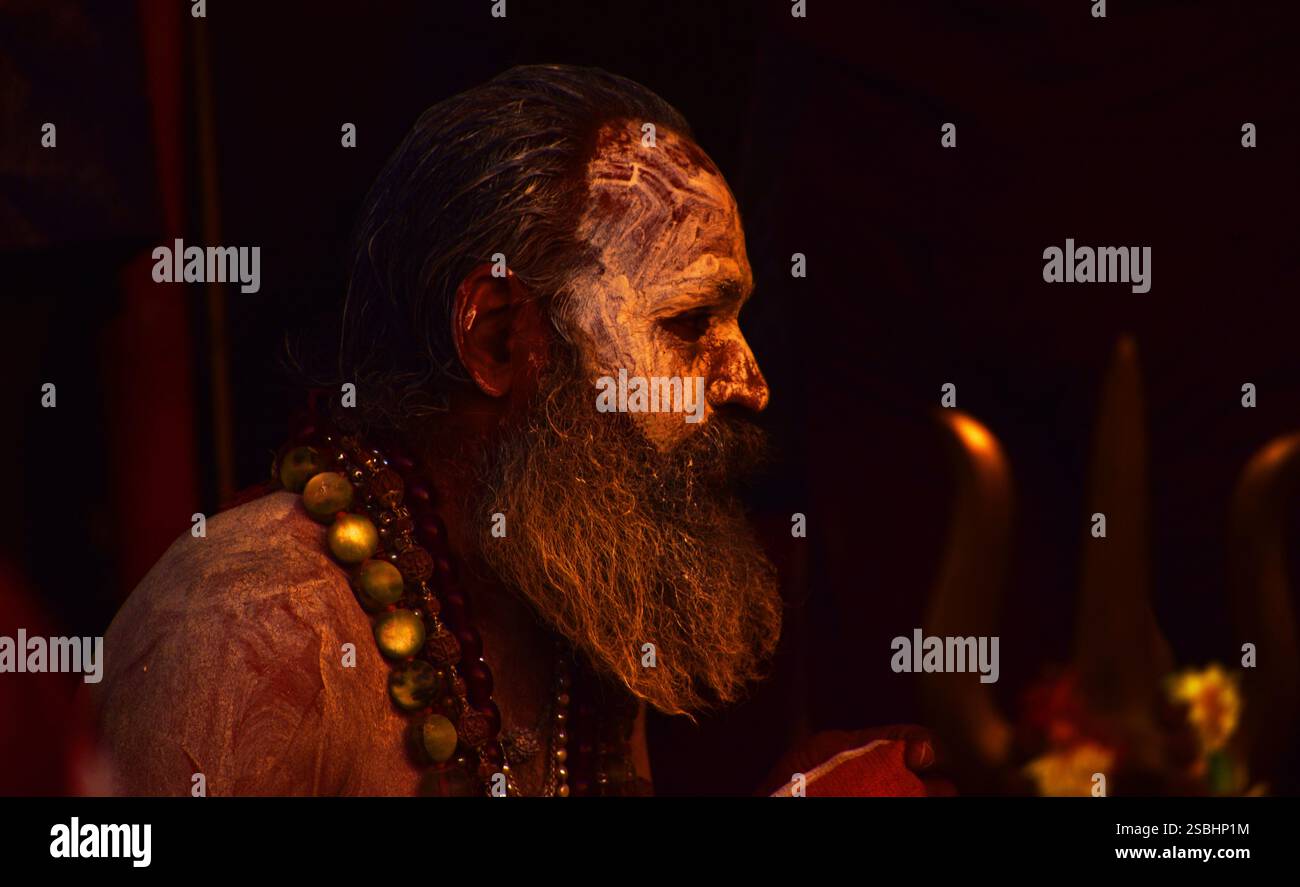 Prayagraj, Uttar Pradesh, India. 28 gennaio 2025. Devoti da tutto il ...