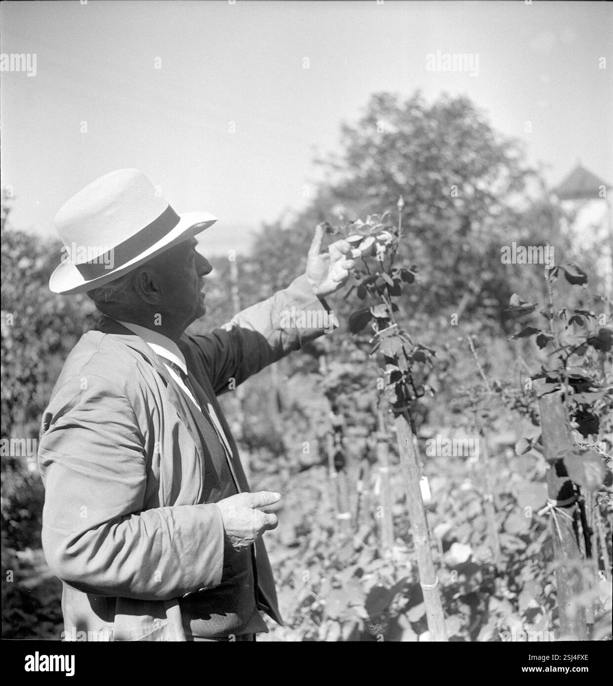 Wilhelm christian meyer immagini e fotografie stock ad alta risoluzione ...