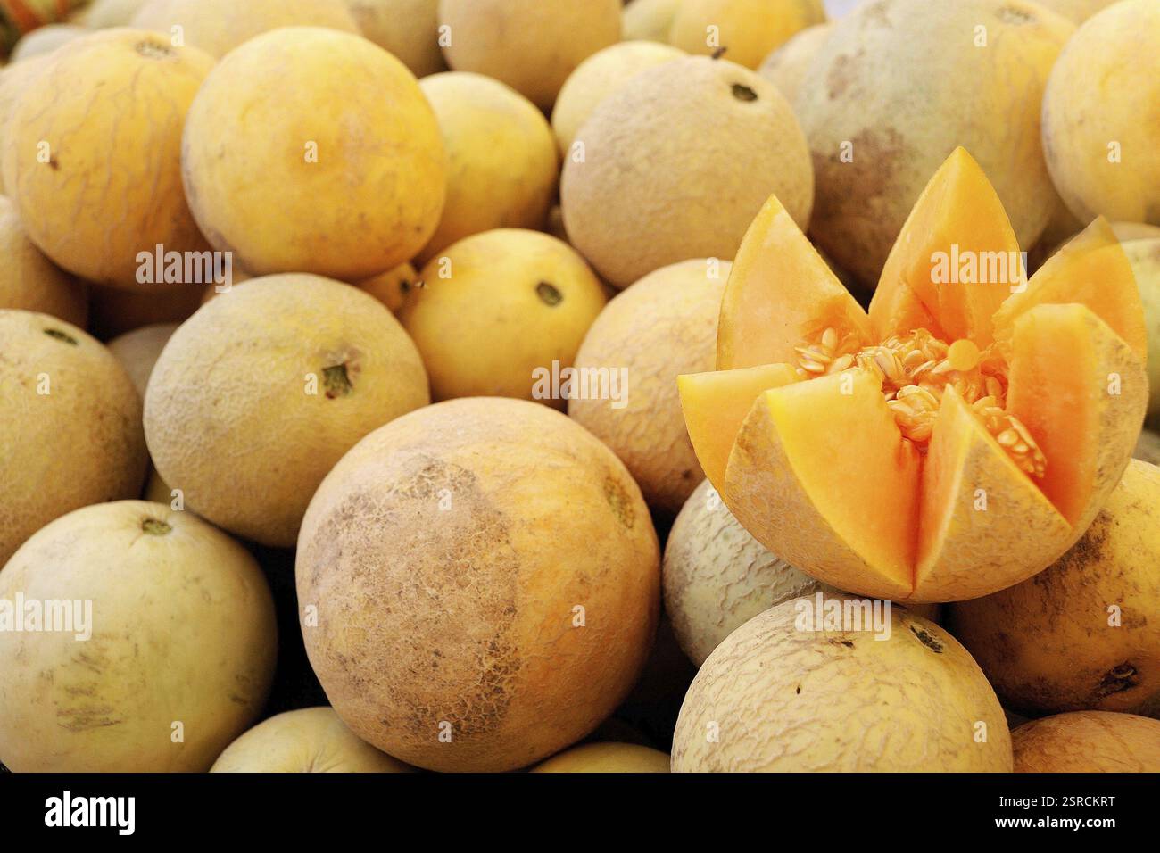 Melone di muschio immagini e fotografie stock ad alta risoluzione - Alamy