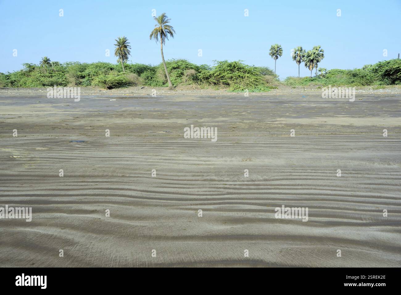 Spiagge di bhagal immagini e fotografie stock ad alta risoluzione - Alamy