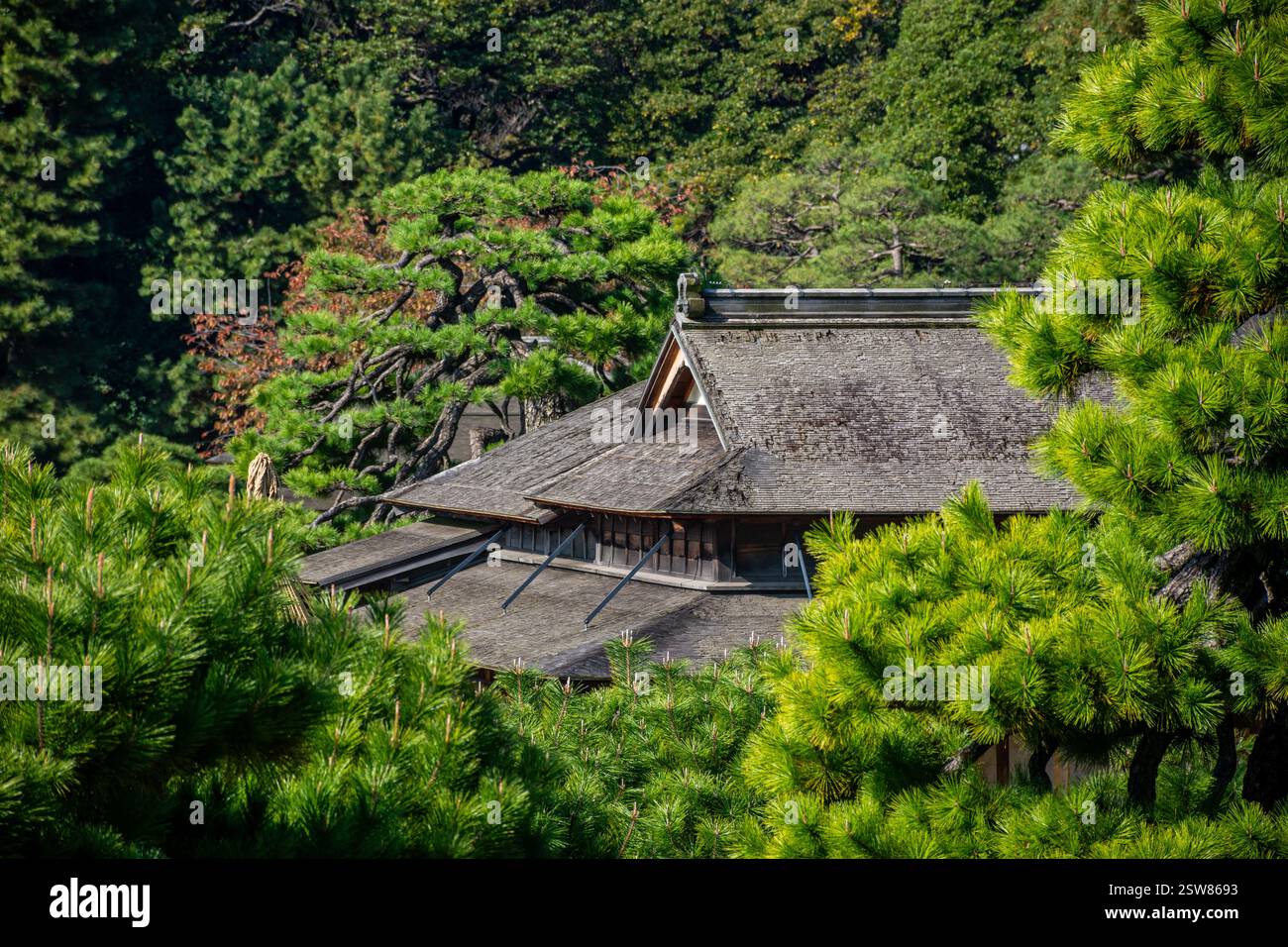 Parchi del giappone immagini e fotografie stock ad alta risoluzione - Alamy