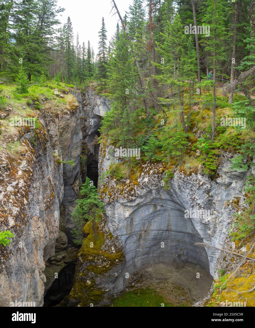 Rocce clastiche sedimentarie immagini e fotografie stock ad alta ...