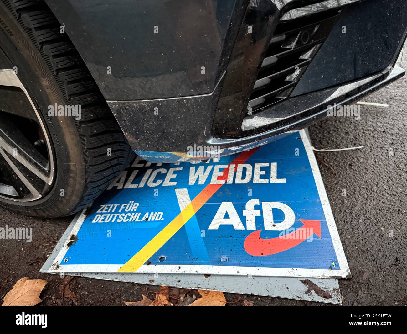 Wahlplakat AfD GER, Berlin,20250226, Plakat der AfD, Alice Weidel ...