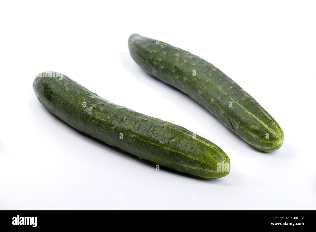 Due cetrioli su sfondo bianco immagini e fotografie stock ad alta ...