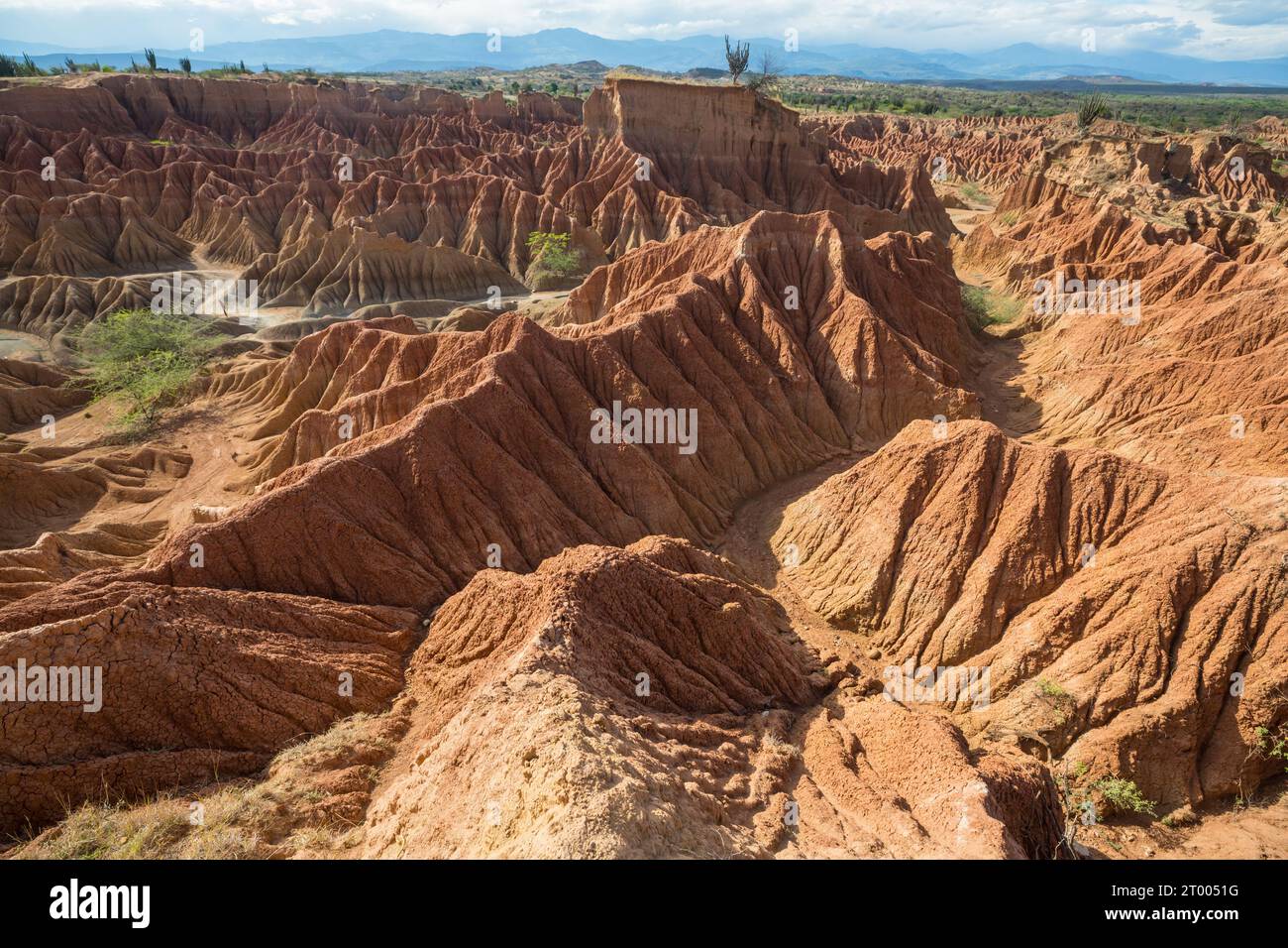 Desierto de la tatacoa immagini e fotografie stock ad alta risoluzione ...