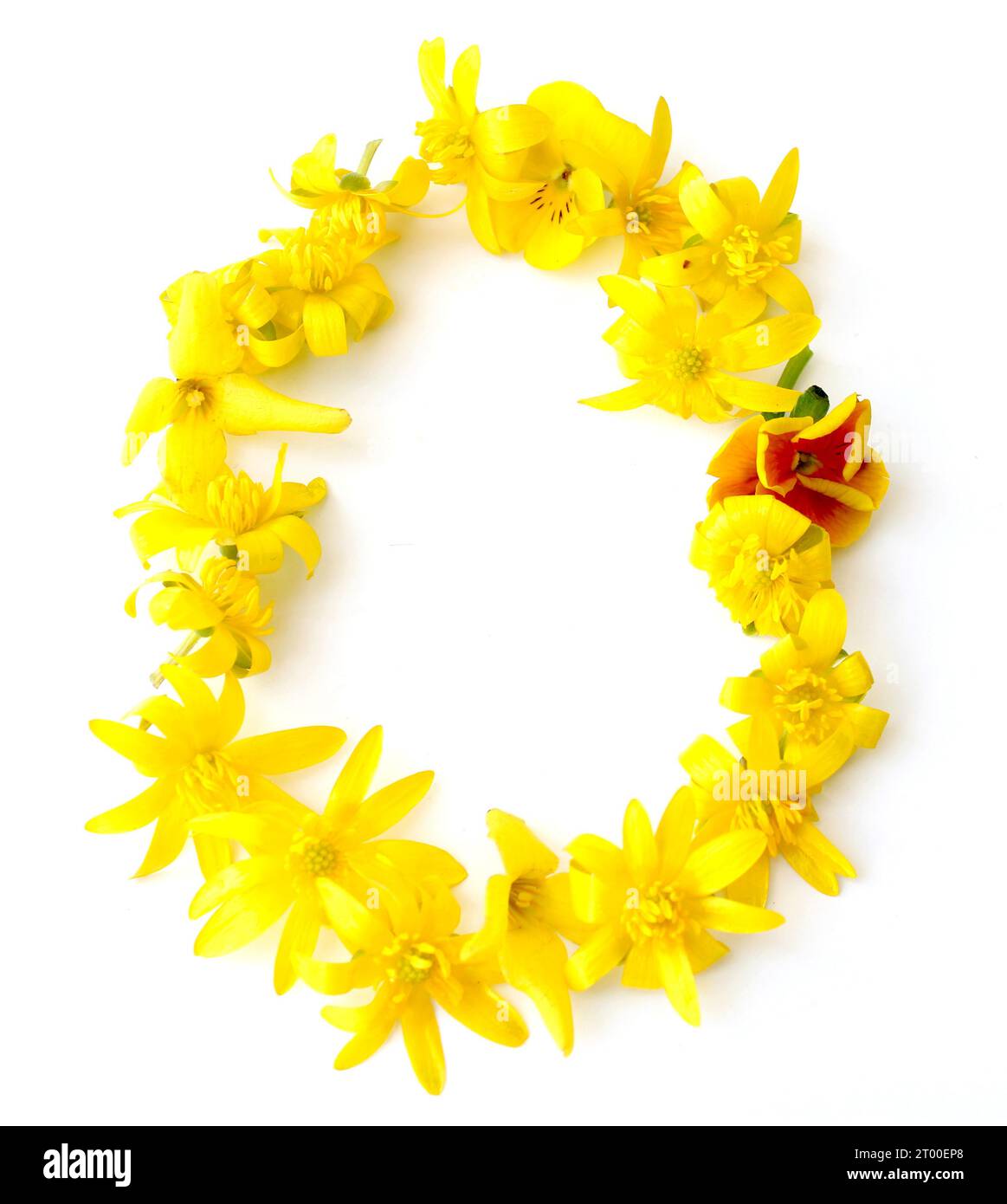 numero composto da fiori gialli, arancioni appena raccolti. isolato su ...