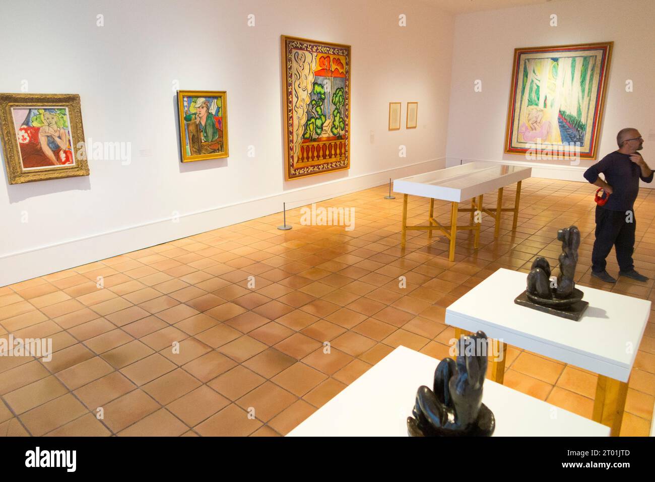 Sala con dipinti e altre opere con il tema "Fauvism Revived" dall ...