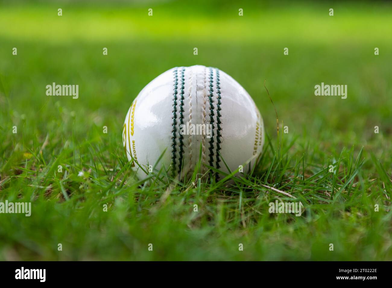 Cricket world cup trophy immagini e fotografie stock ad alta ...