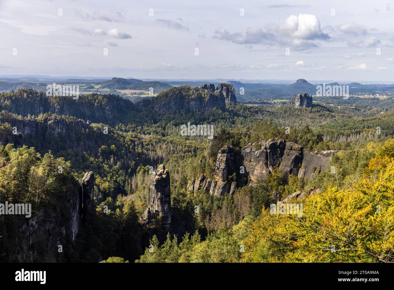 05 ottobre 2023, Sassonia, Schmilka: Gli alberi decidui nel Parco ...
