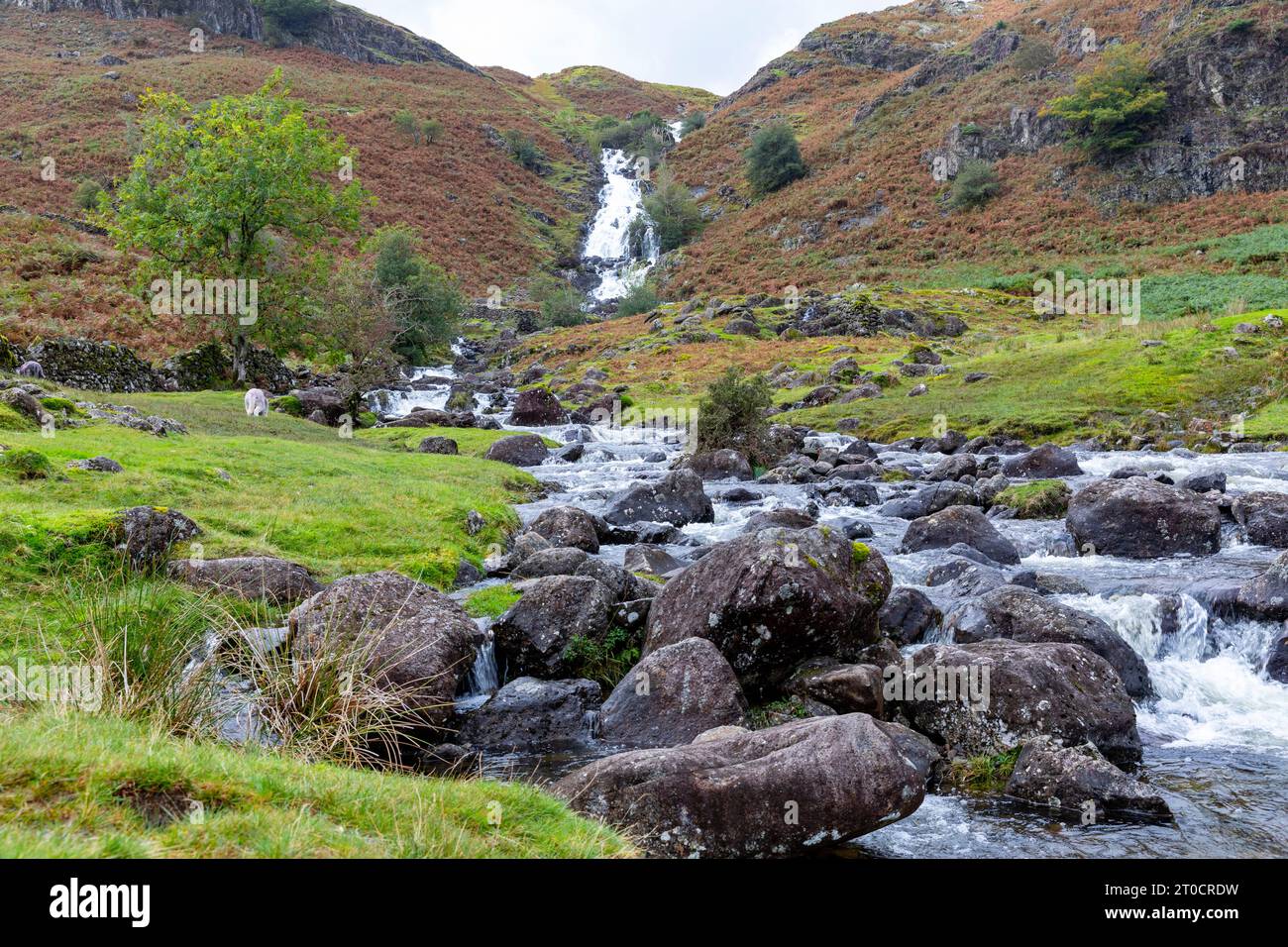Cascata di gyhll al latte acido immagini e fotografie stock ad alta ...