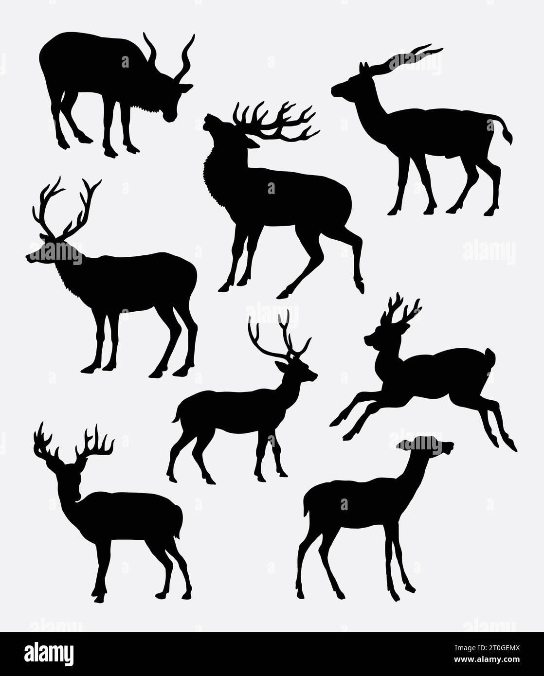 Sagoma di cervo animale Immagini Vettoriali Stock - Pagina 2 - Alamy