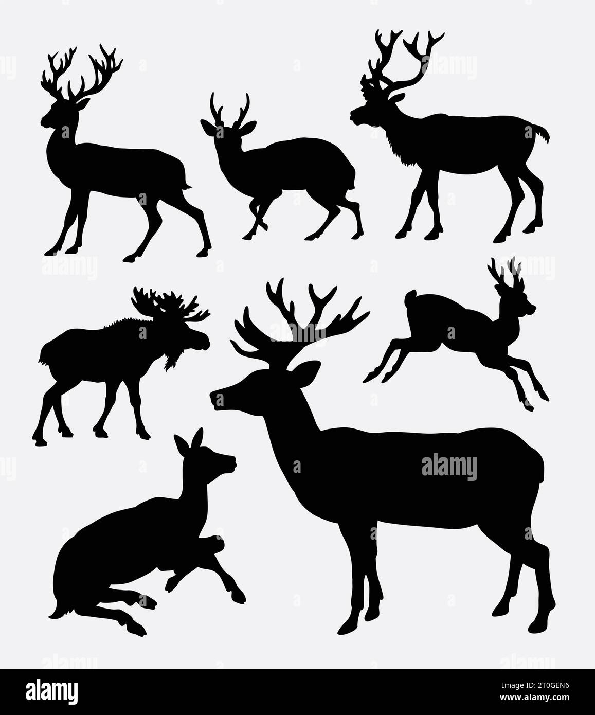 Sagoma di cervo isolato immagini e fotografie stock ad alta risoluzione ...