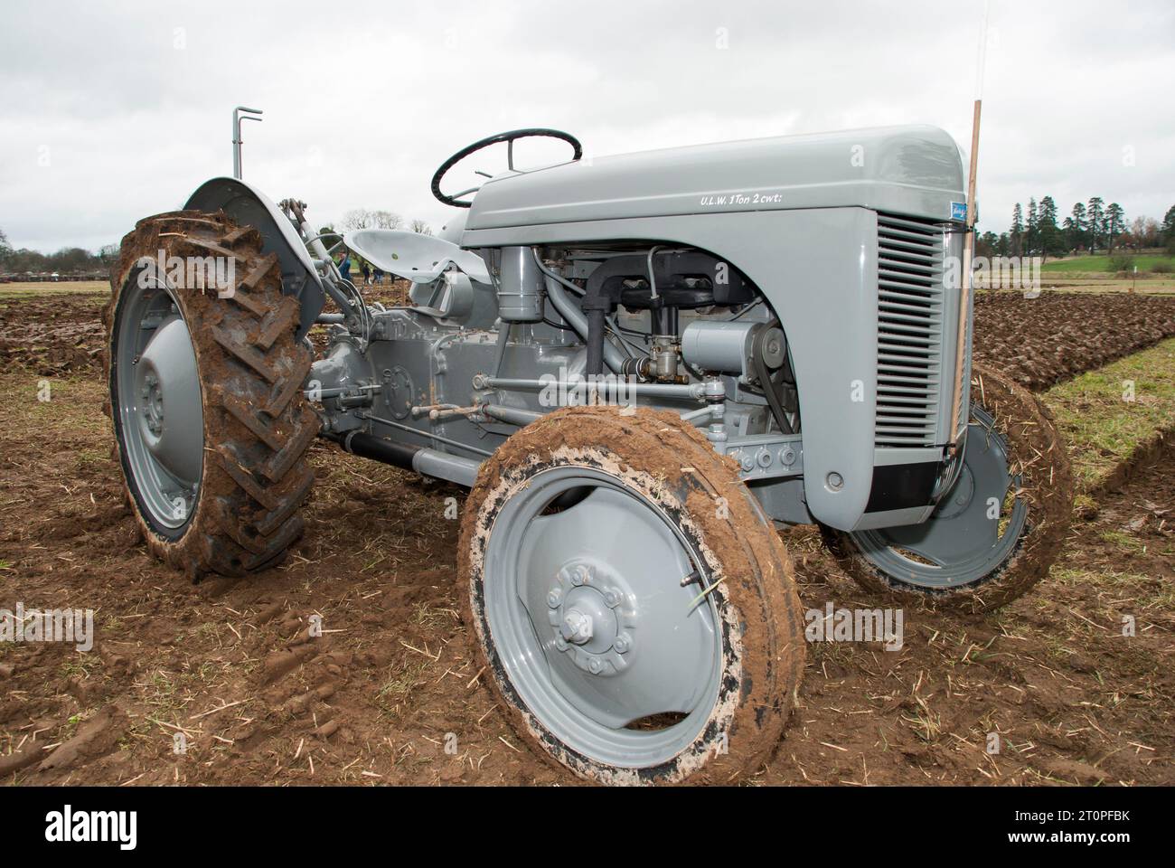 Trattore grigio massey ferguson agricoltura immagini e fotografie stock ...