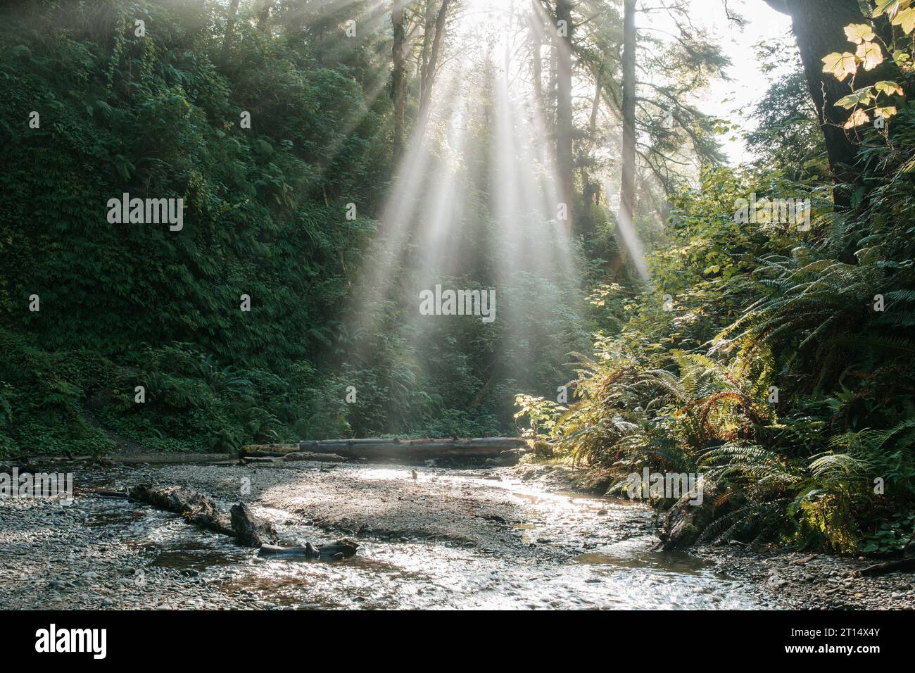 Prairie state immagini e fotografie stock ad alta risoluzione - Alamy