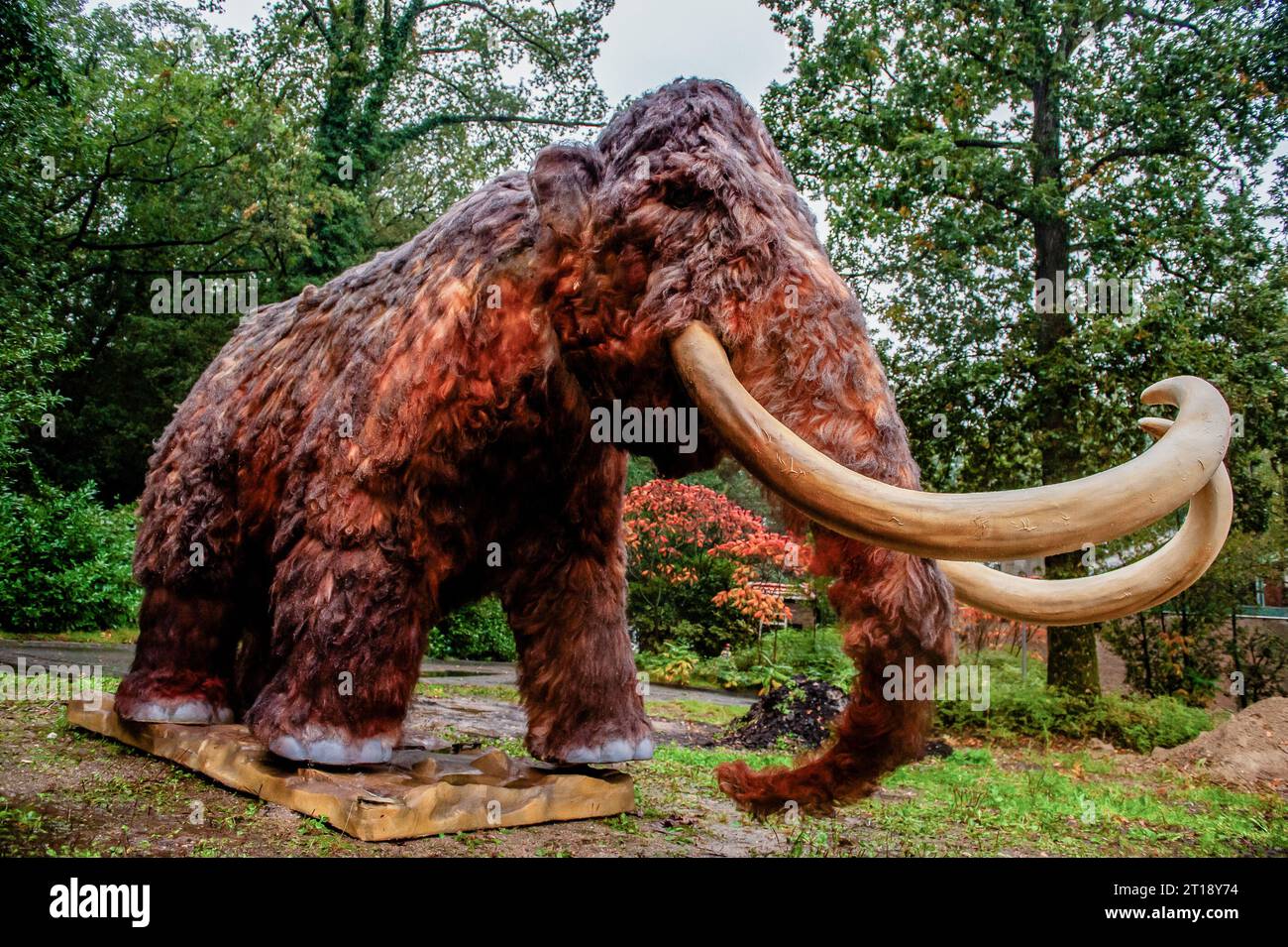 Una vista di un gigantesco mammut completamente assemblato. Questo ...
