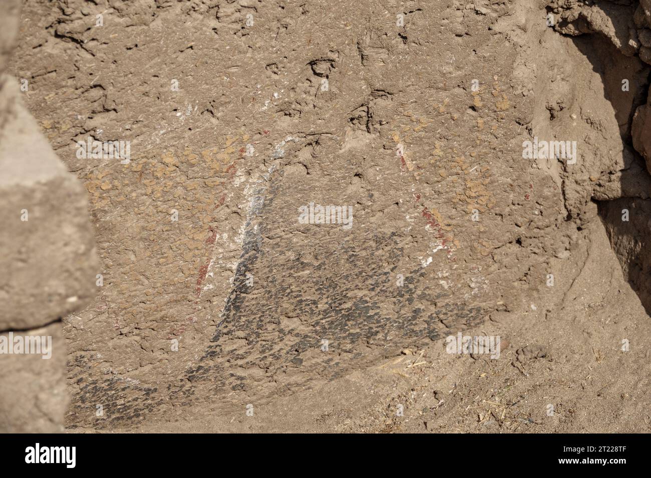 Primo piano della pittura murale originale nel complesso del palazzo di ...