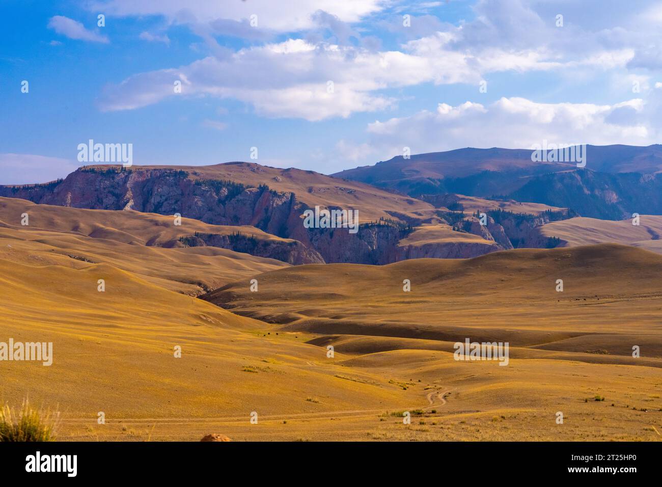 Paesaggi di pianura immagini e fotografie stock ad alta risoluzione - Alamy